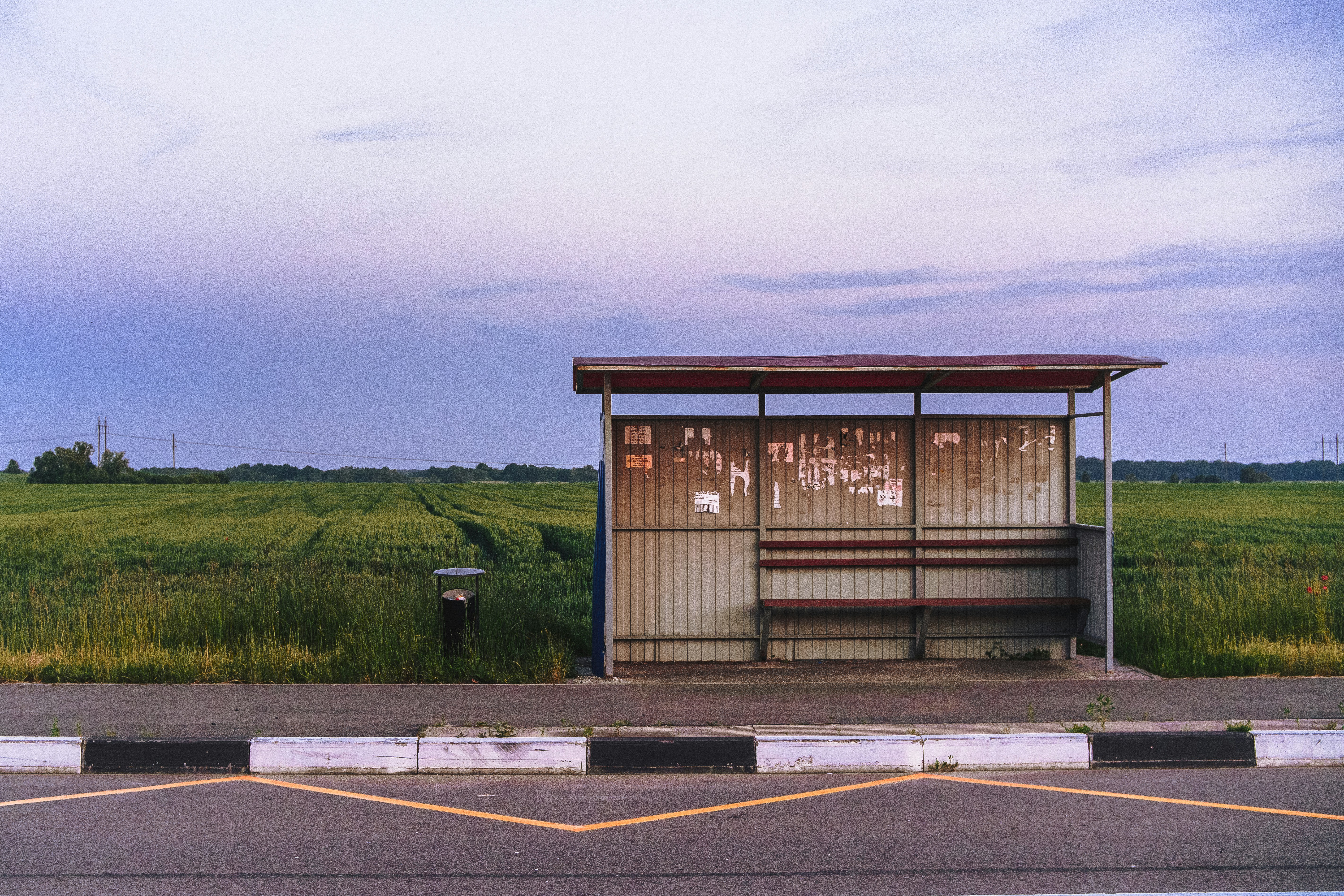 Bus Stop Solstice: A Quiet Transit Shelter on the Edge of Field