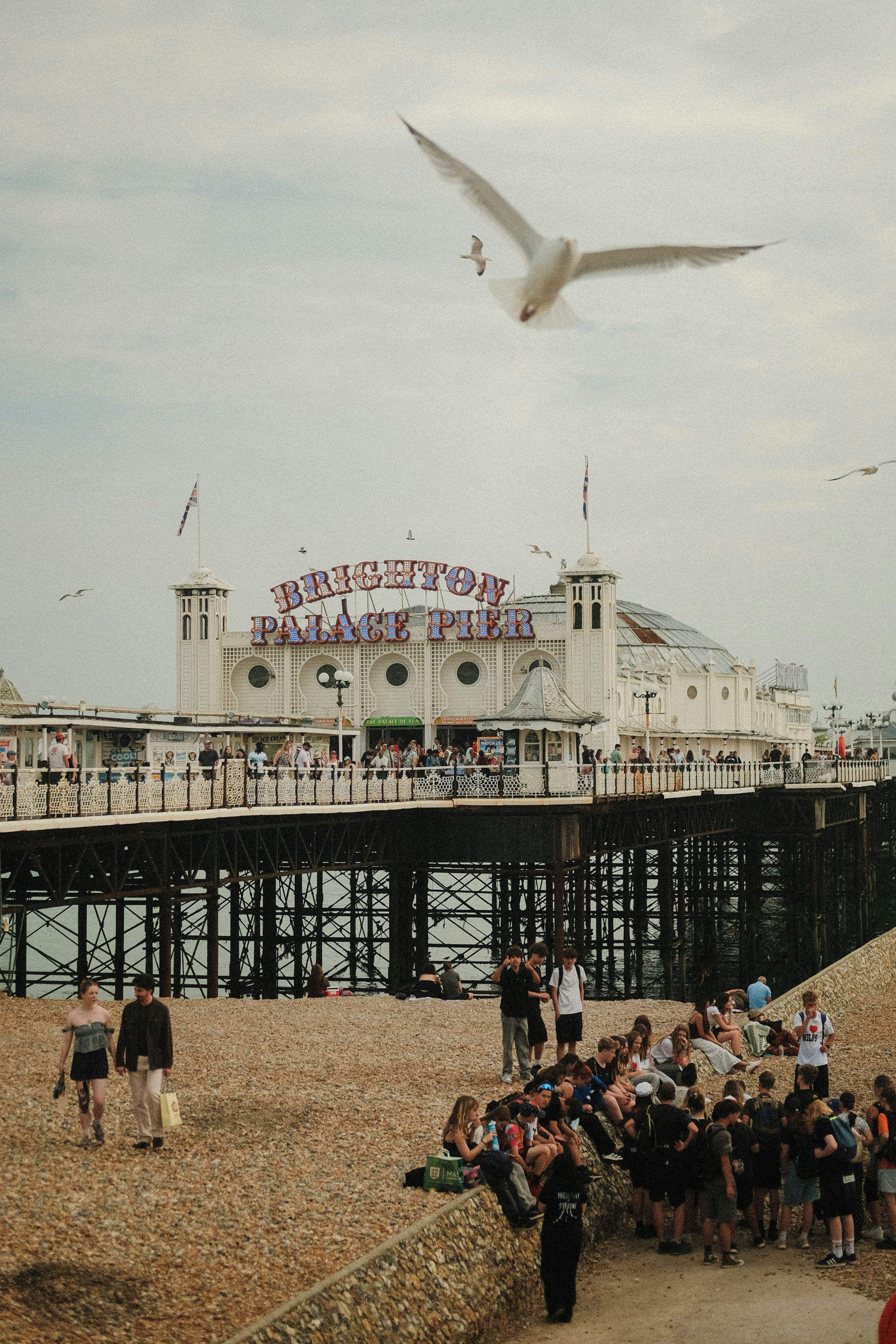 Brighton Pier Glow: Seagulls Over the Victorian Cliff
