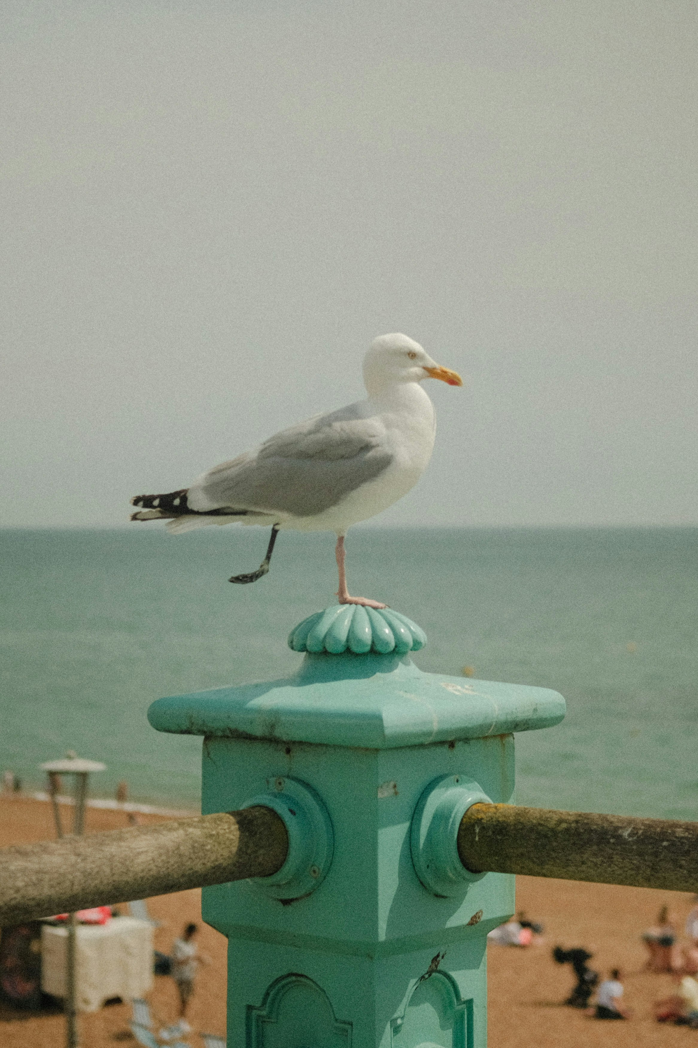 Seabird on a Turquoise Pier Ornament, Balancing Between Sea and Sky