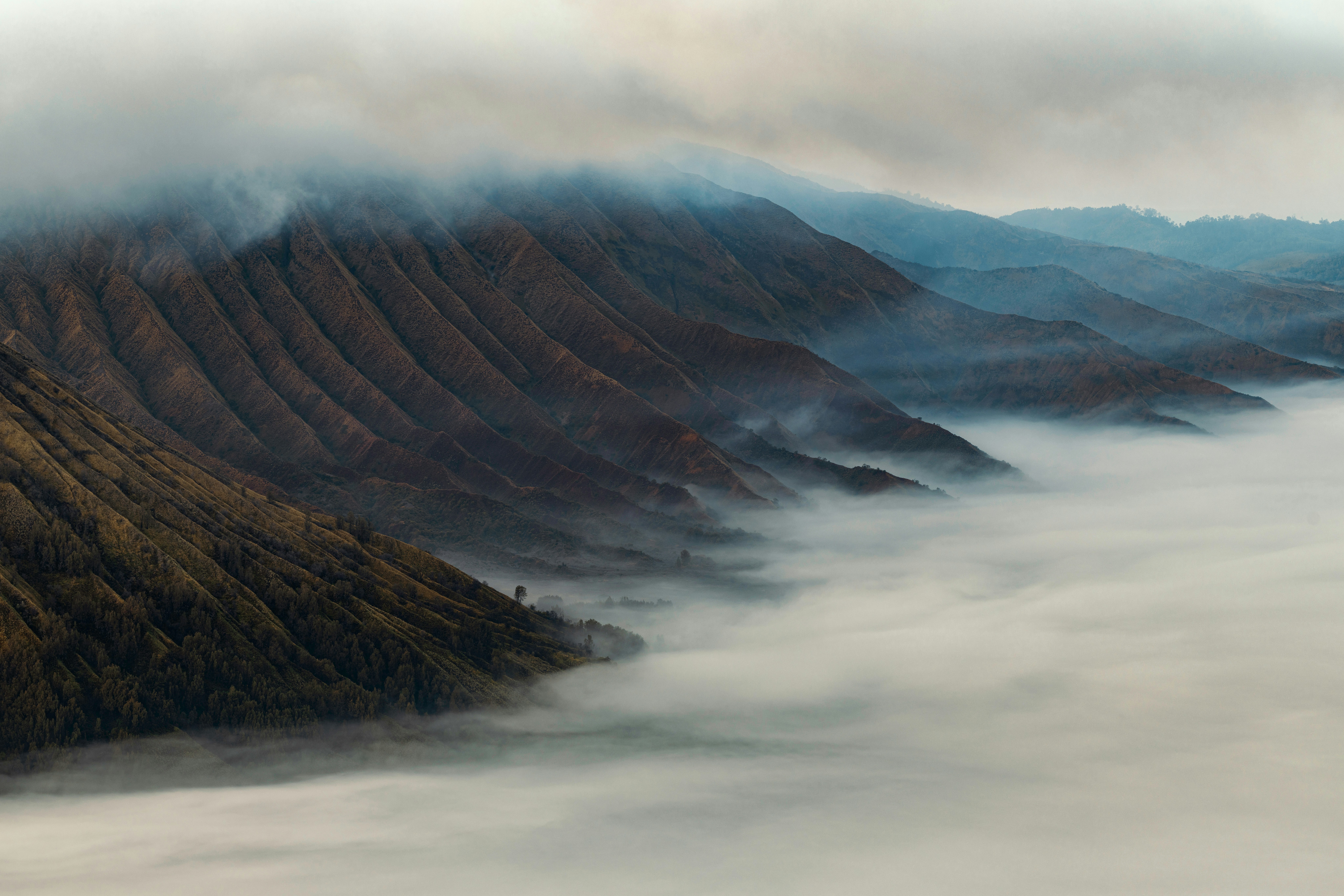 Mist-Lipped Ridges: Dawn over a Sea of Clouds