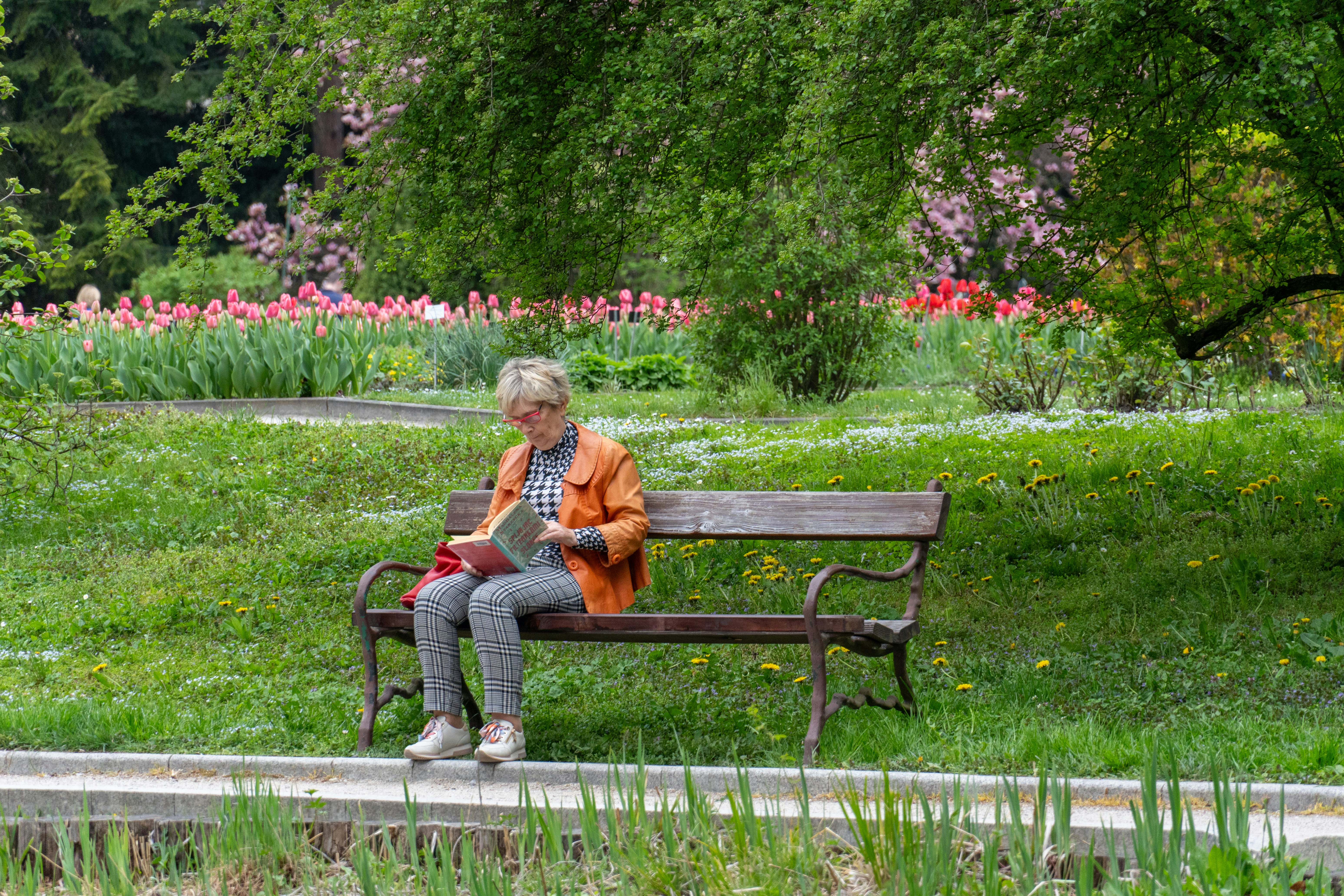 Quiet Moment on a Sunlit Park Bench