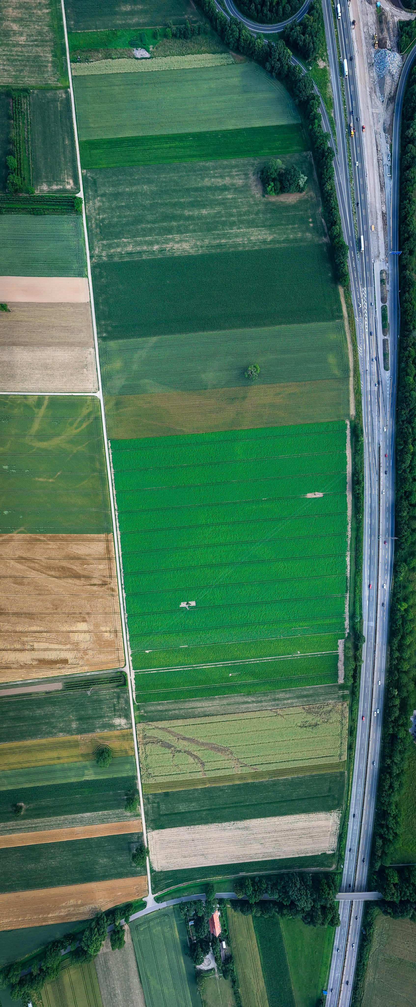 Ribbons of Green: A Drone’s Eye Over the Patchwork Fields