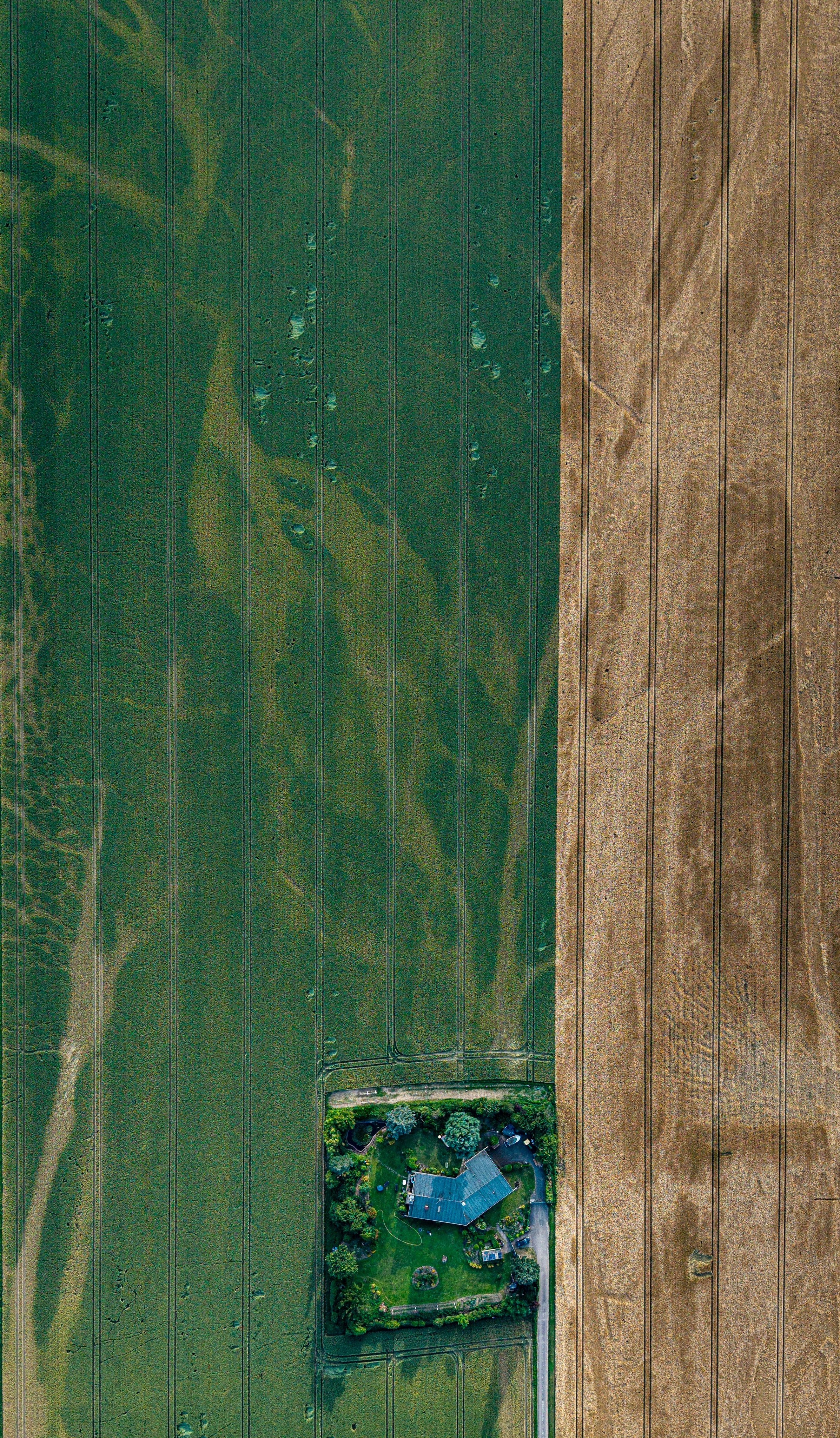 Aerial Patchwork: A Farmyard Nestled Within a Narrow Field