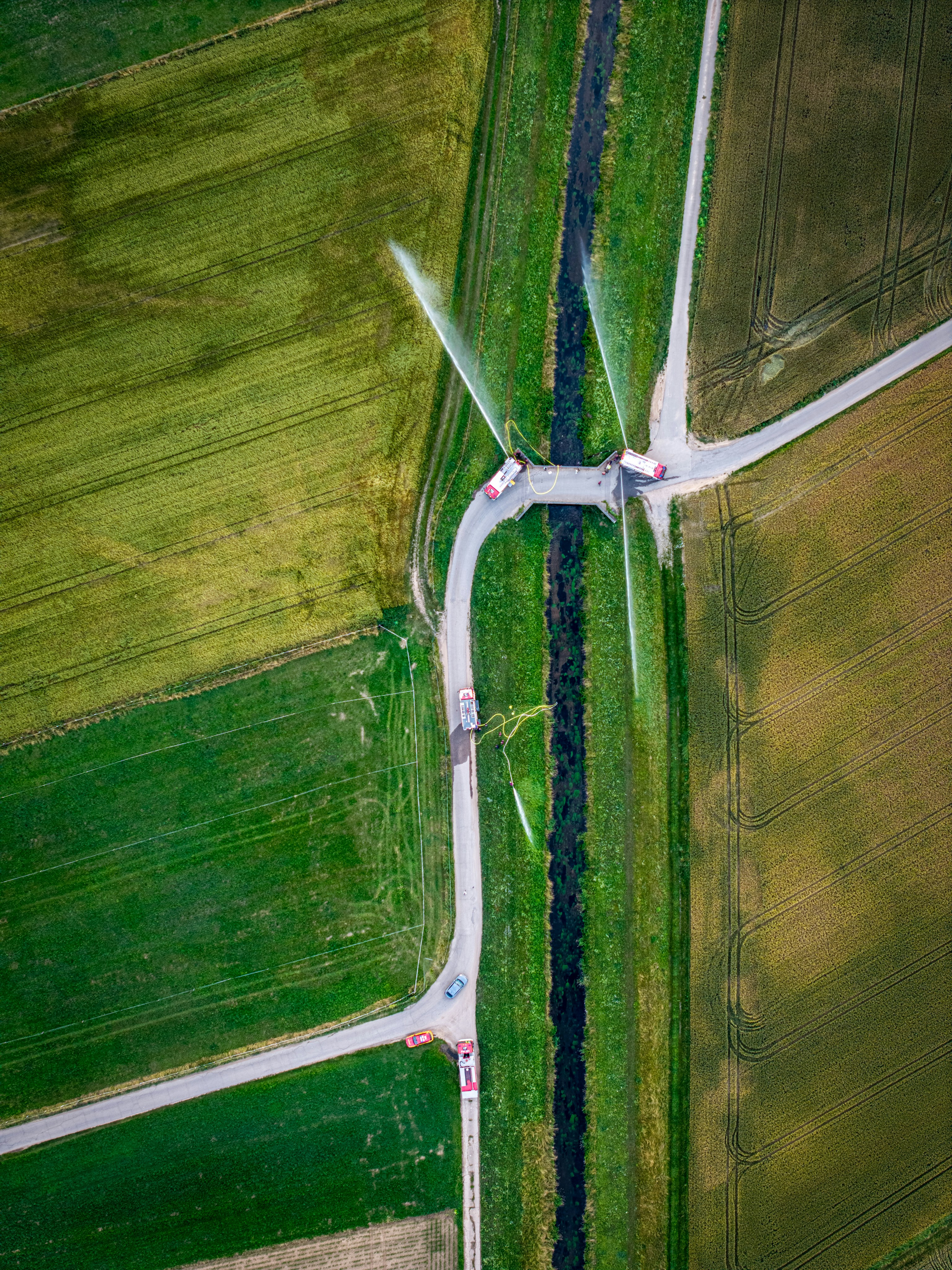 Aerial convergence: irrigation channels carve a crossroad through verdant fields