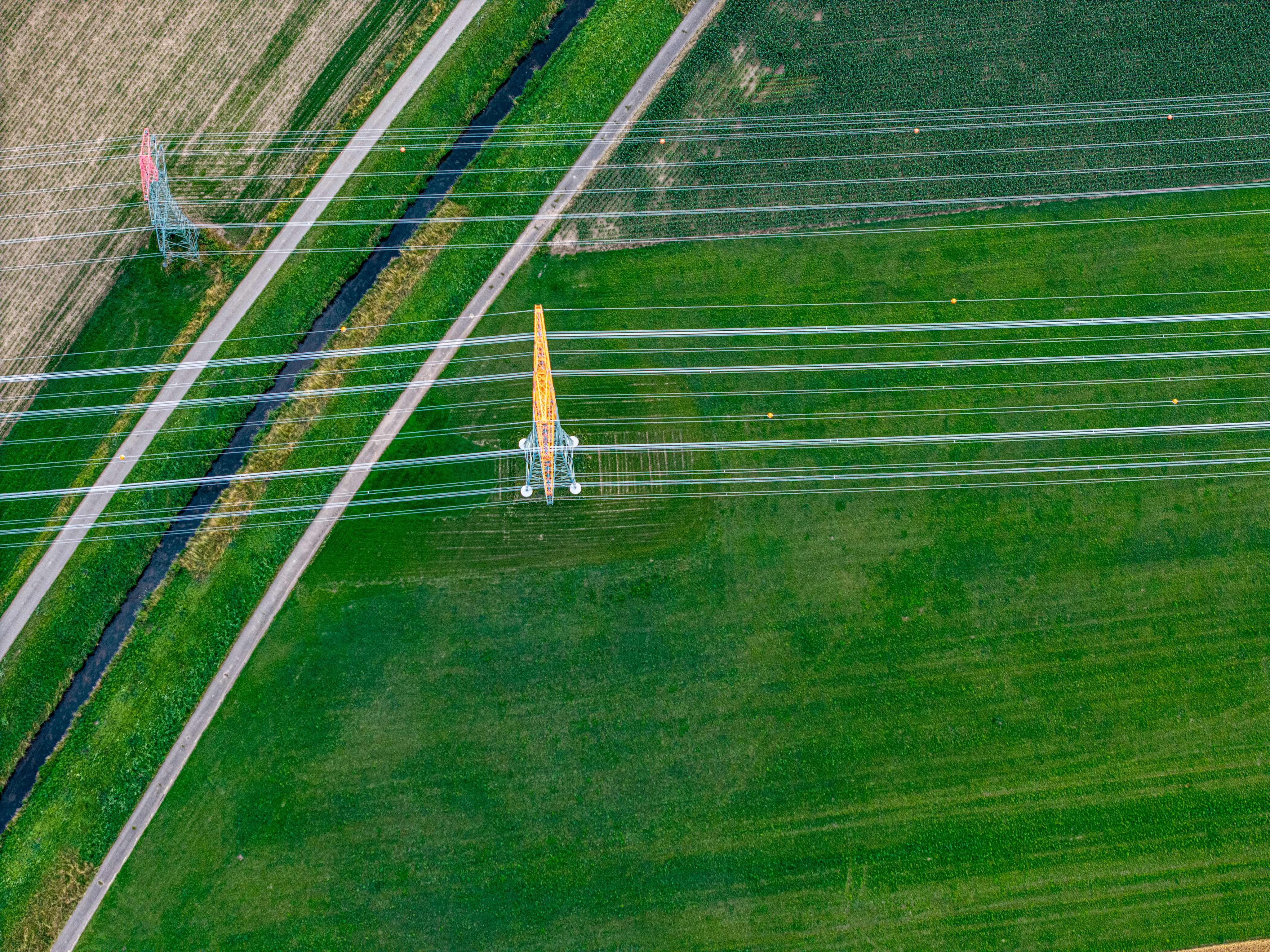 Aerial Glide Over Orchard Grids: Cables, Tractors, and Lines