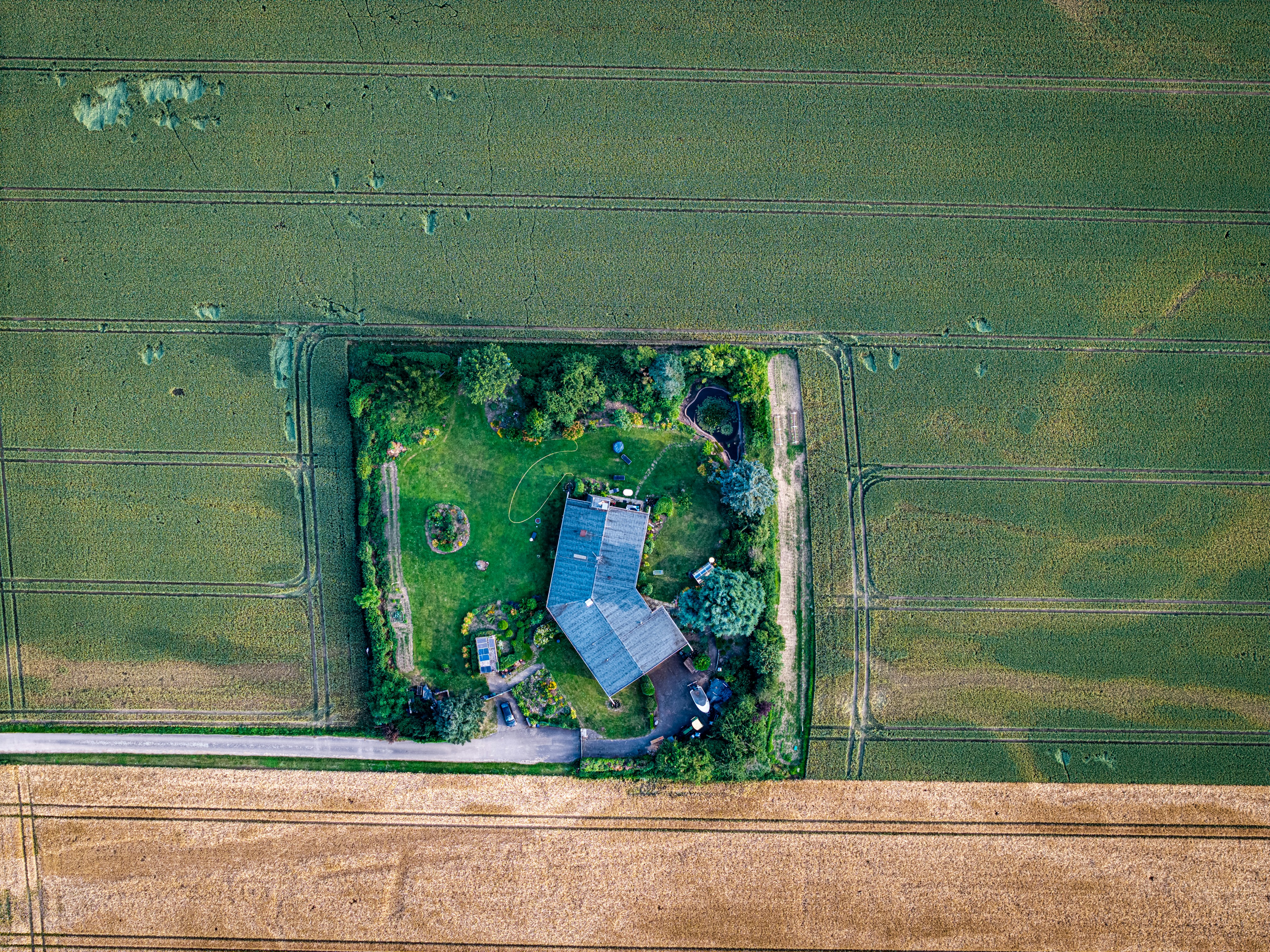 Green Oasis in a Farmland Frame: A Cropped Aerial of a House Courtyard