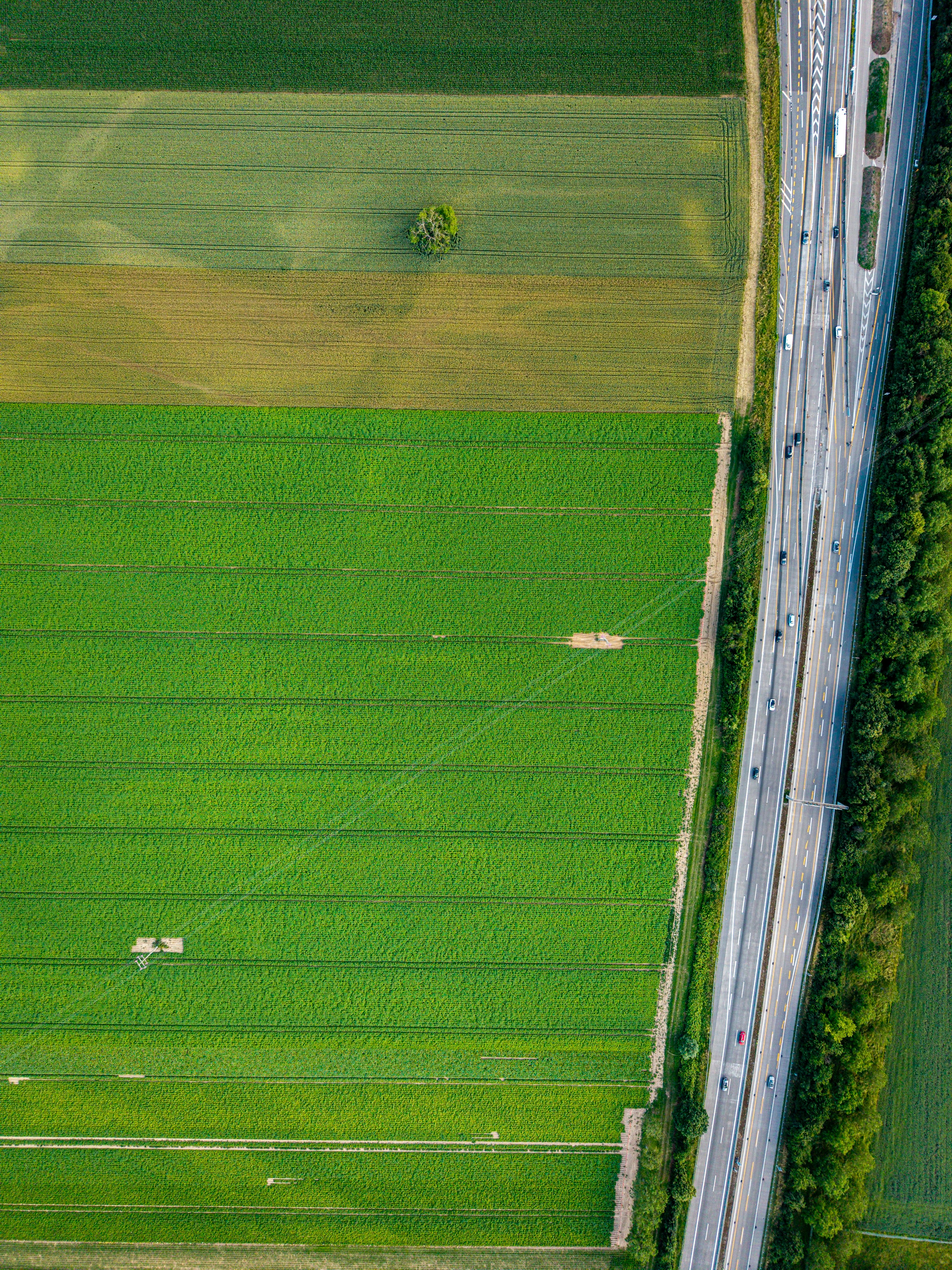 Vertical Highway: Aerial Field Stripes Meet the Road in Seamless Contrast