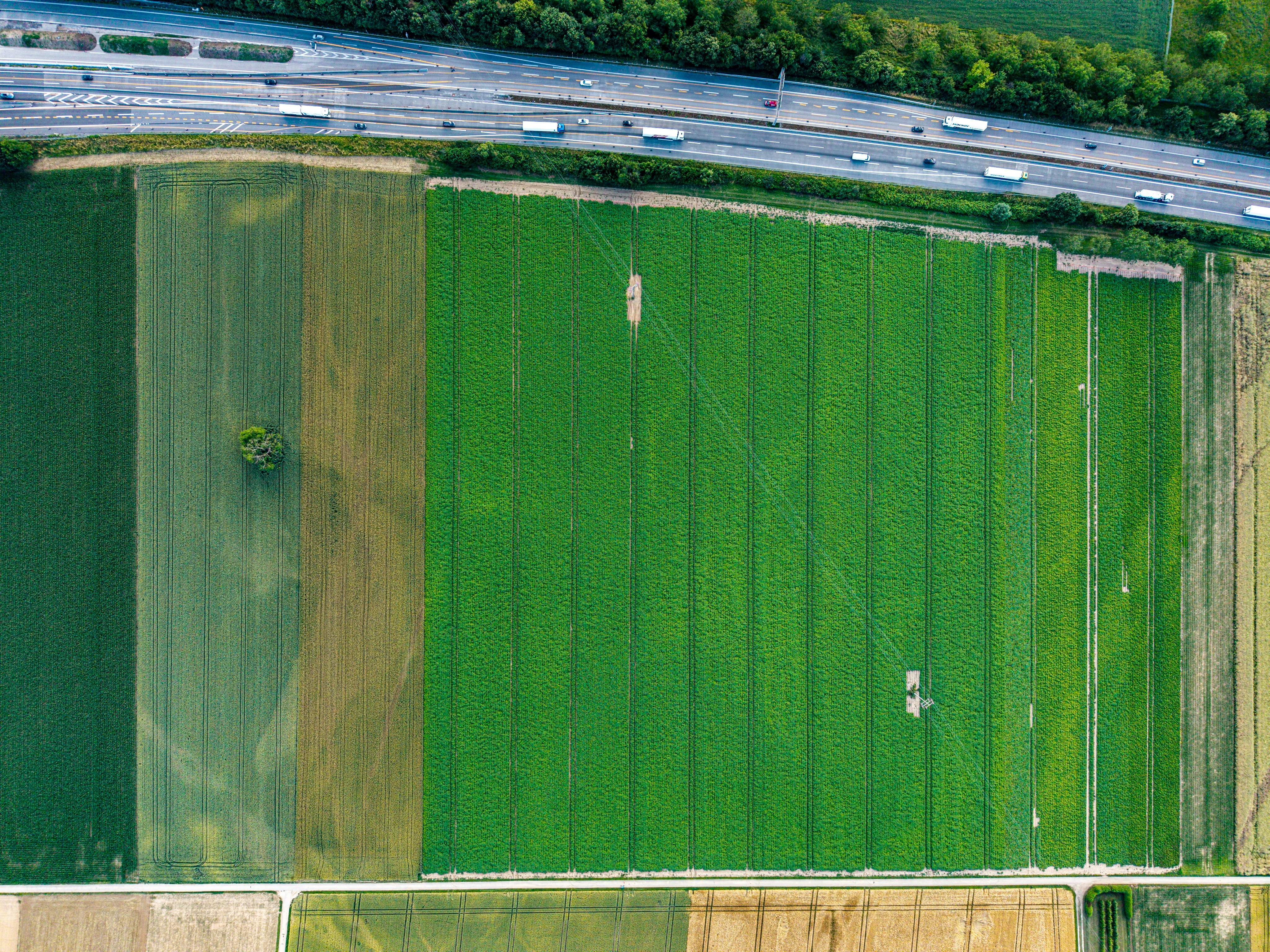 Aerial Symphony of Field Stripes Crossing a Highway