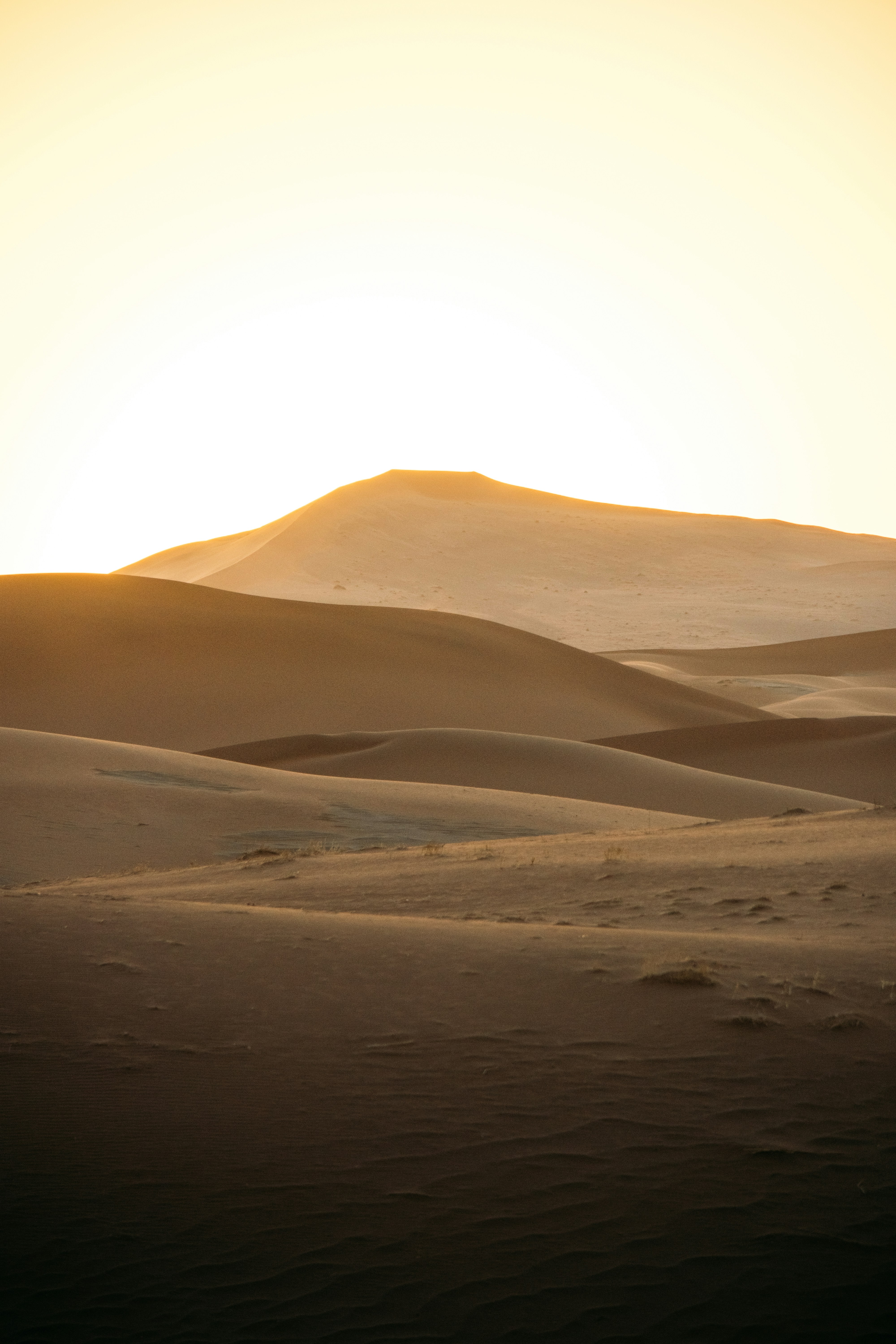 Sunrise Crown: Dunes Breathe Light Across a Silent Crest