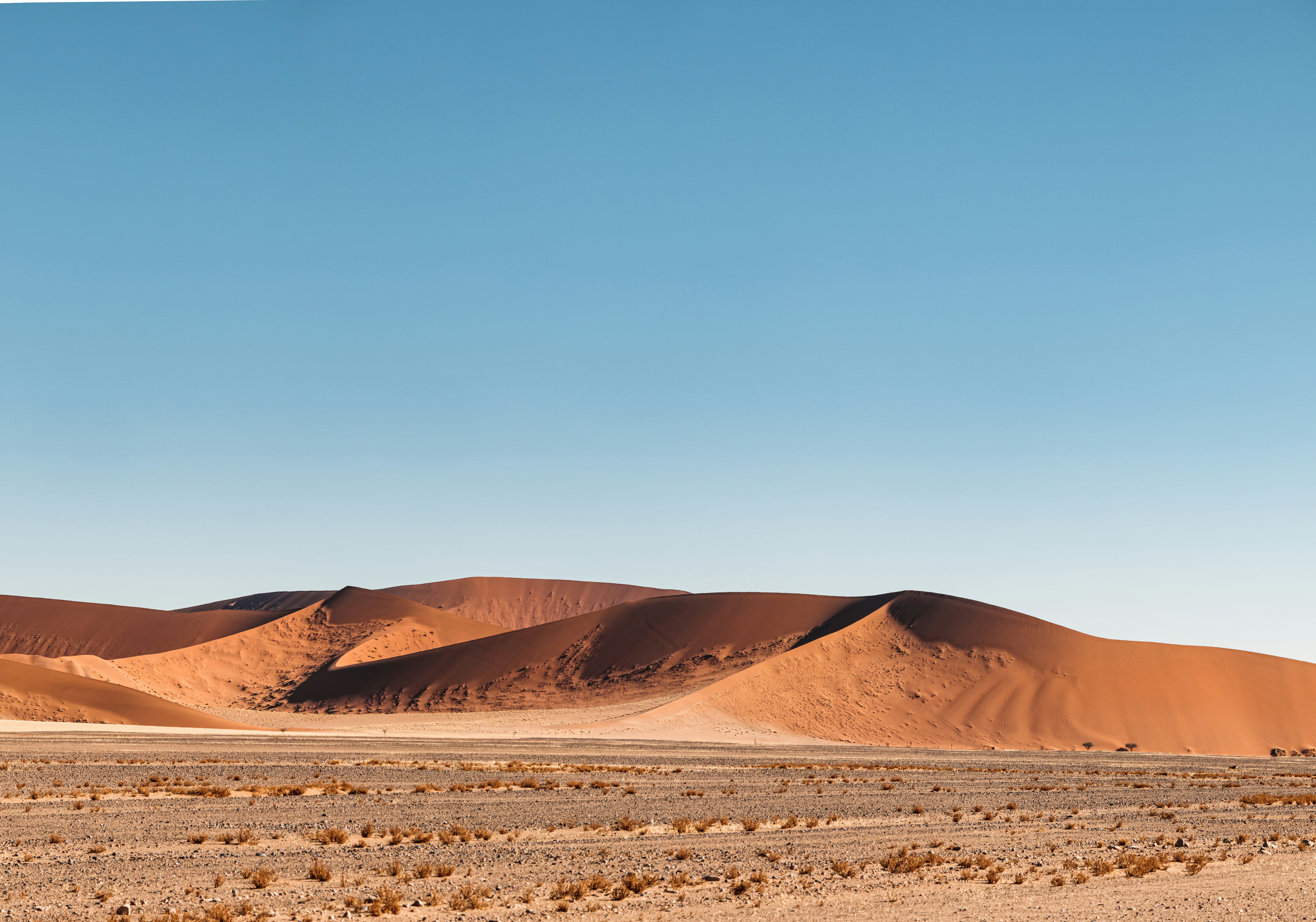 Vast orange sand dunes under a clear blue sky.