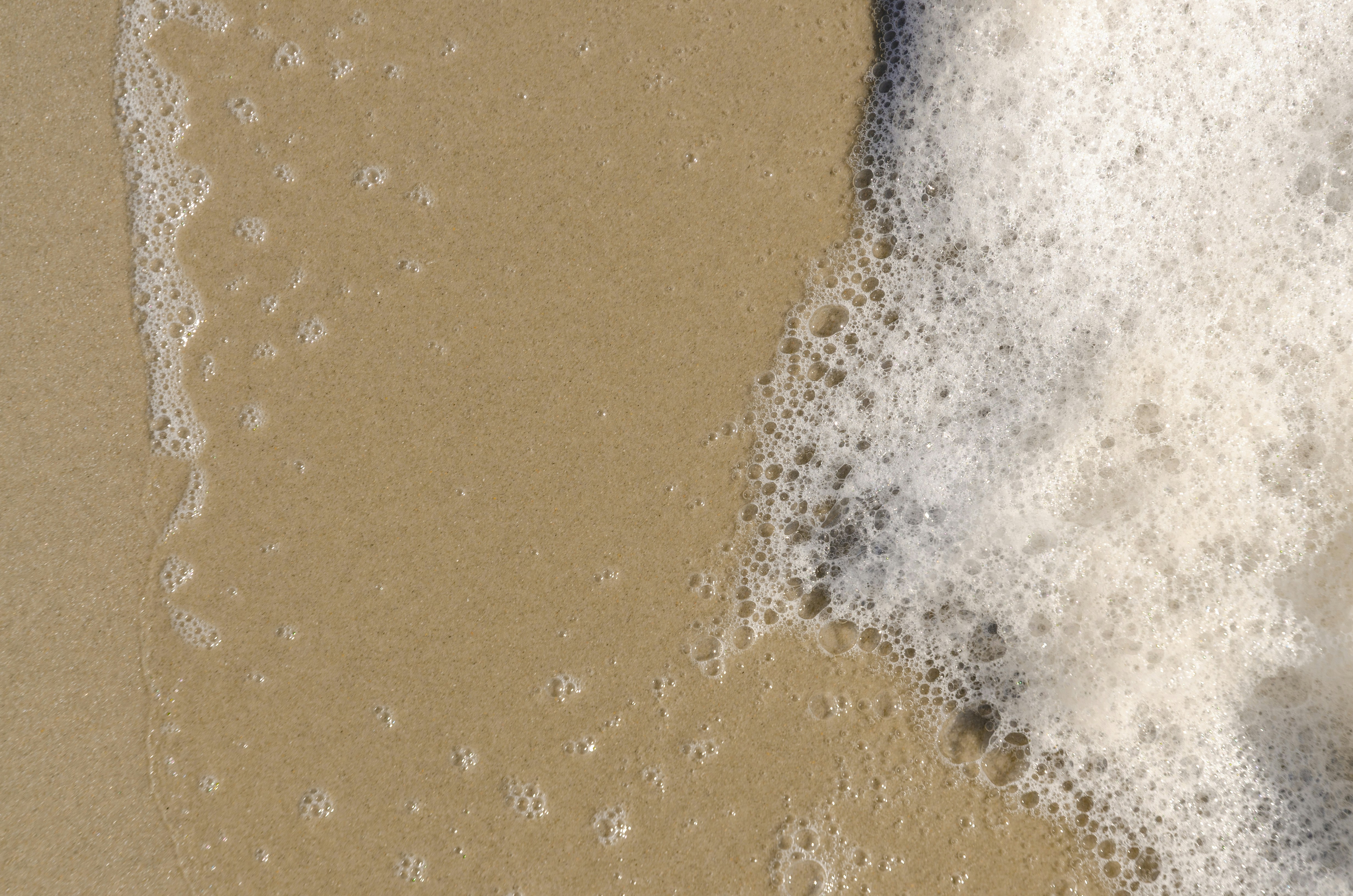 Foamy Edge: Gentle Waves Meeting Quiet Sand