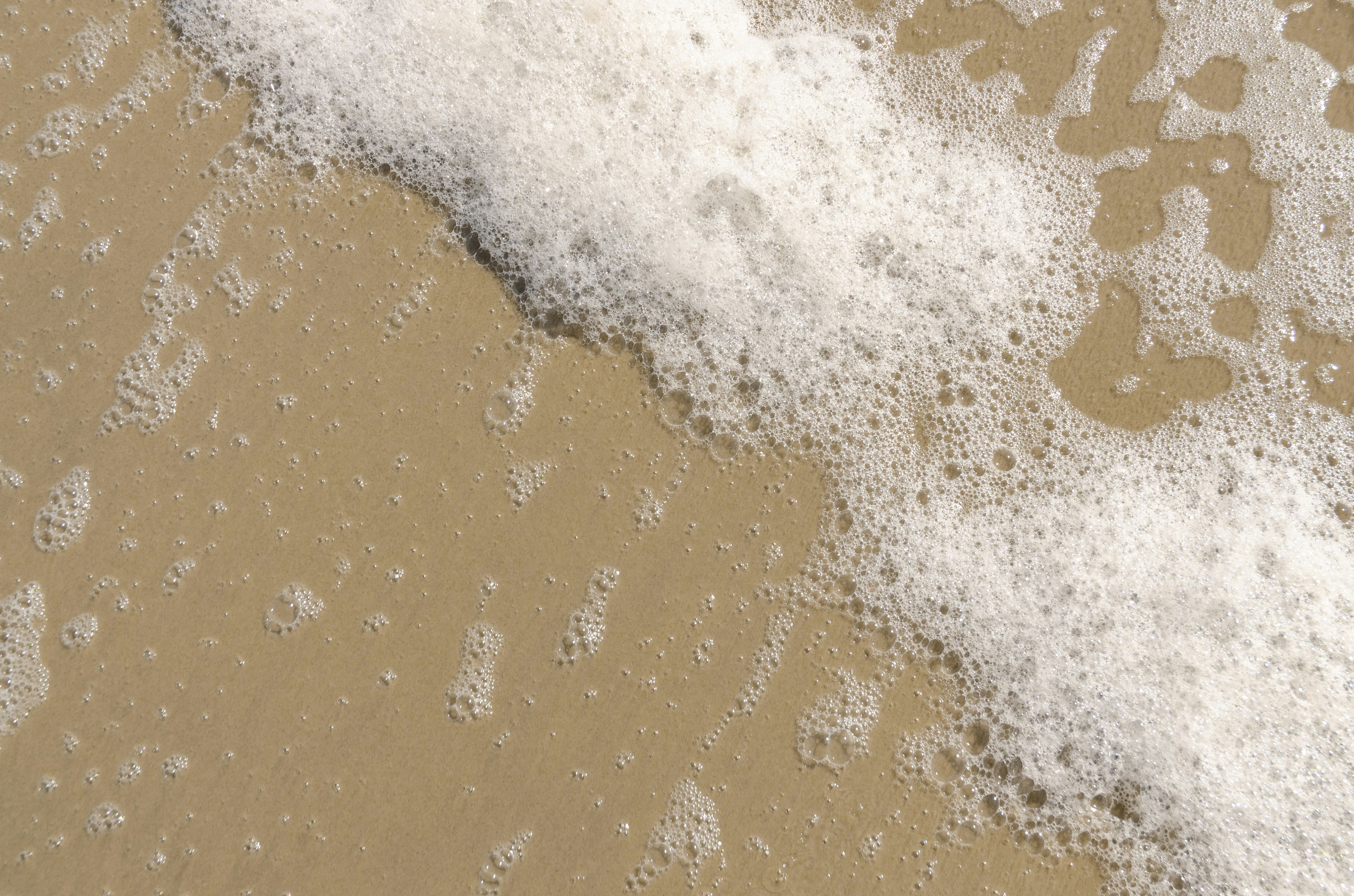 Foamy shoreline diagonally dividing sunlit wet sand