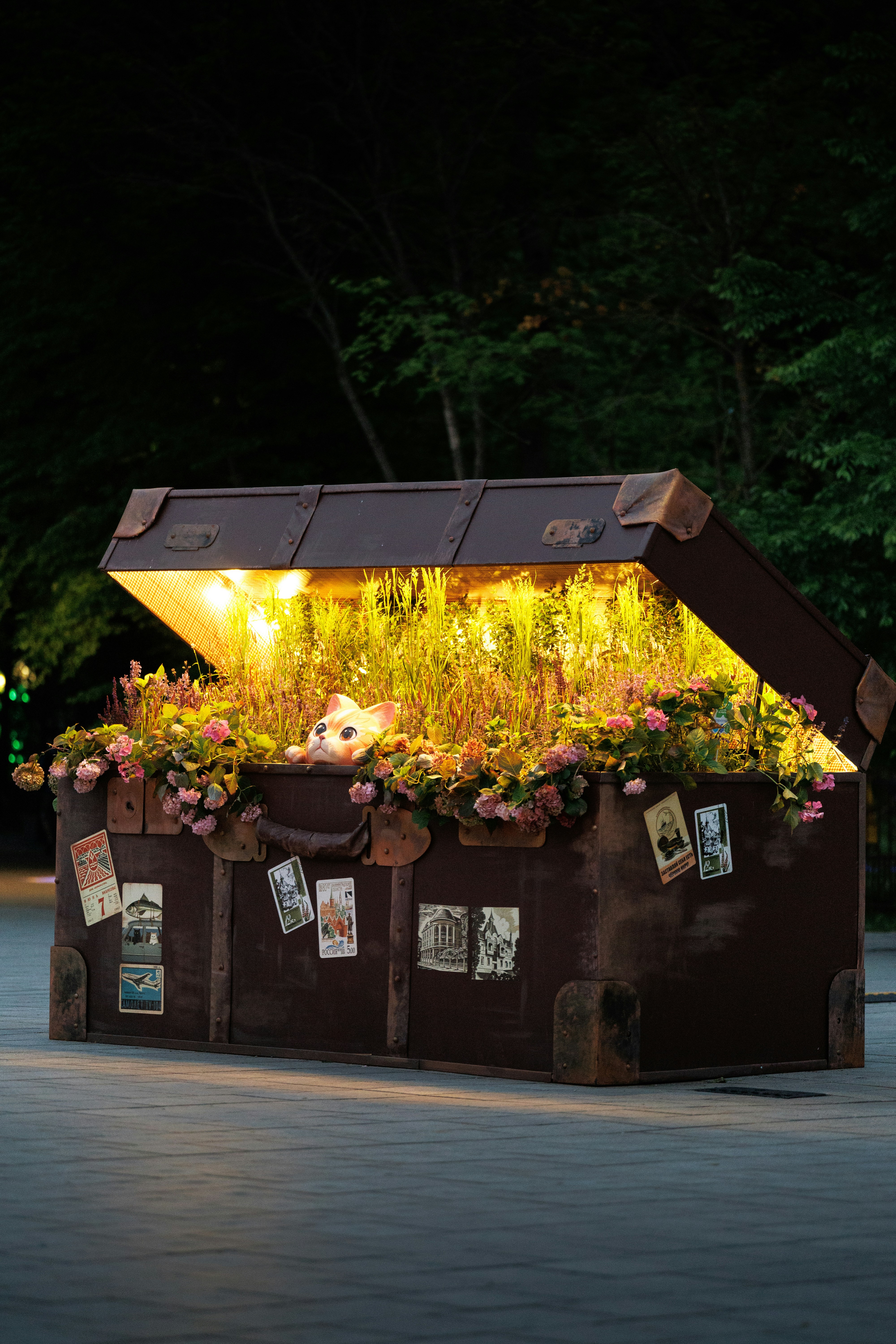 Luminous Shelter: A Cat's Garden in the Night