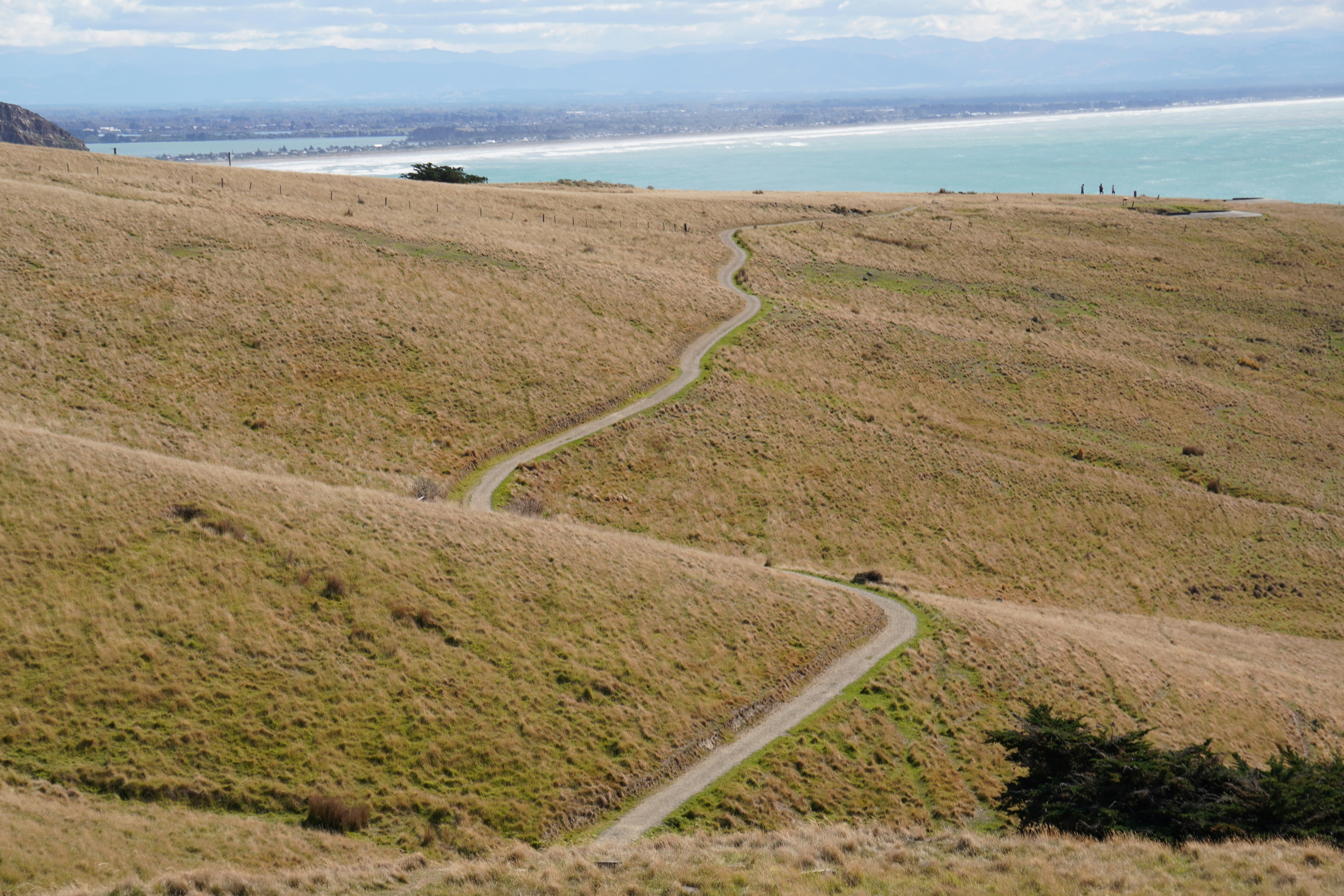 Winding Coastal Path Through Golden Hills
