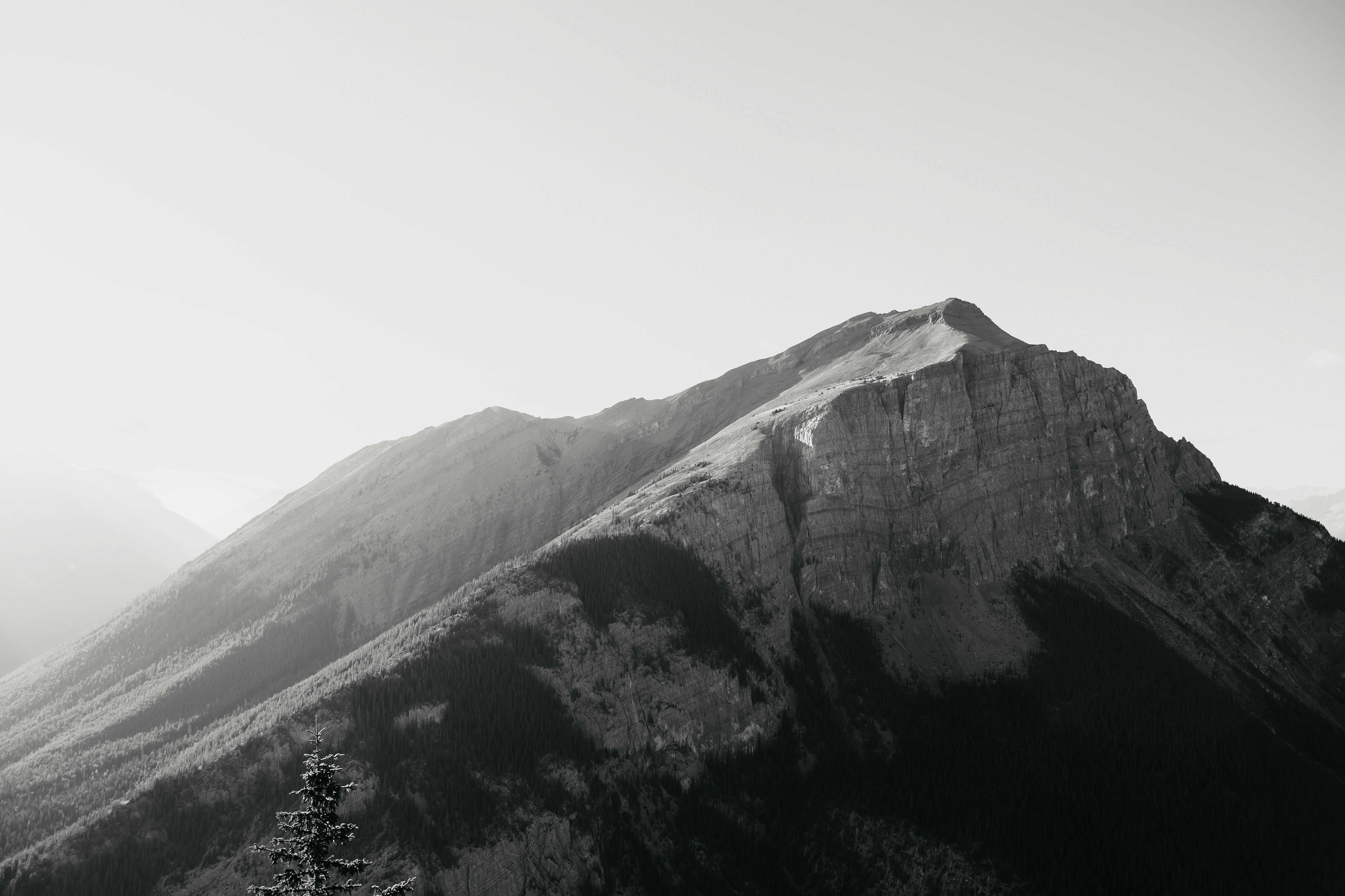 Summit Crest in Mist: A Quiet Mountain Moment