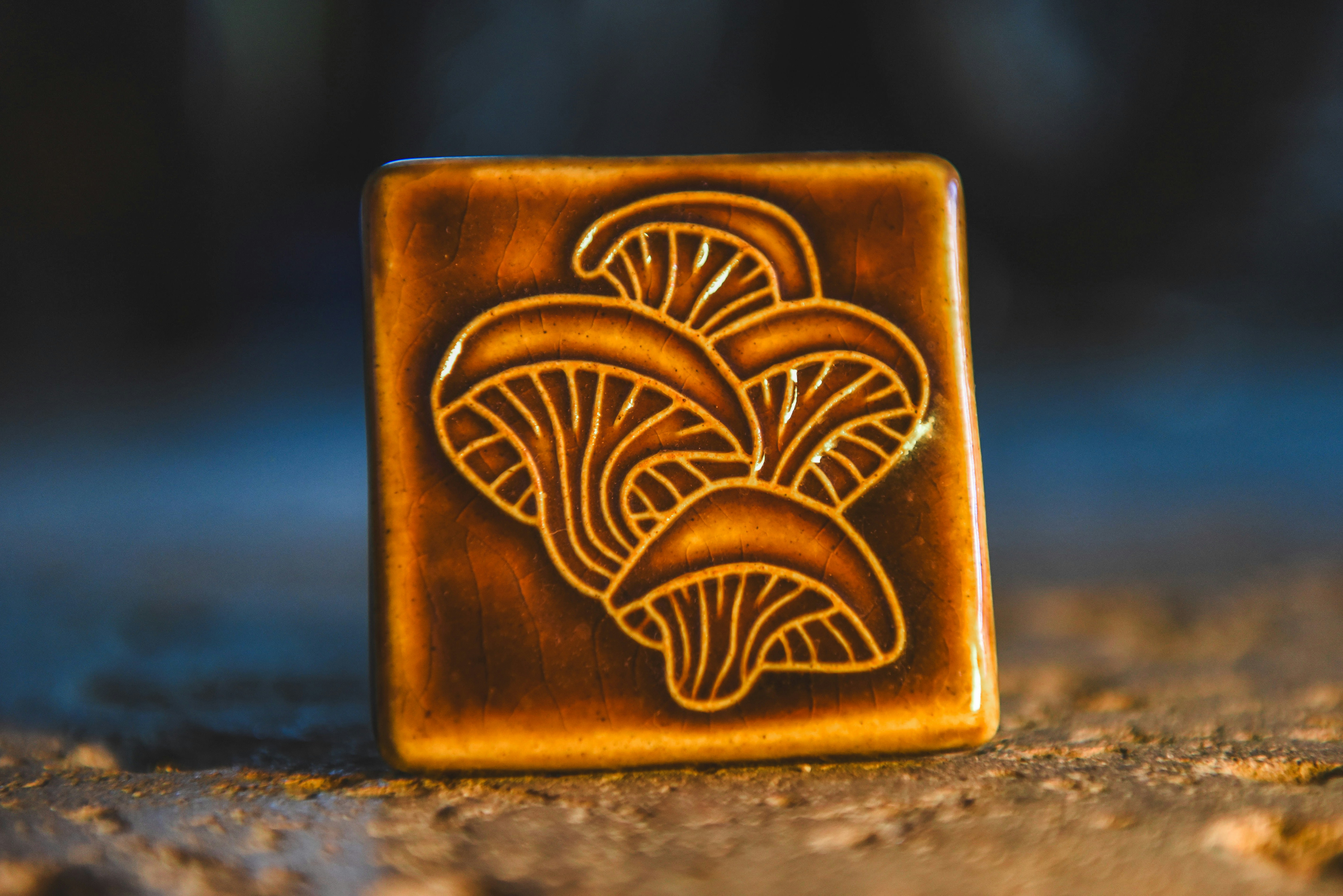 Mushroom Embossed Tile: Amber Ceramic with Gilled Grove
