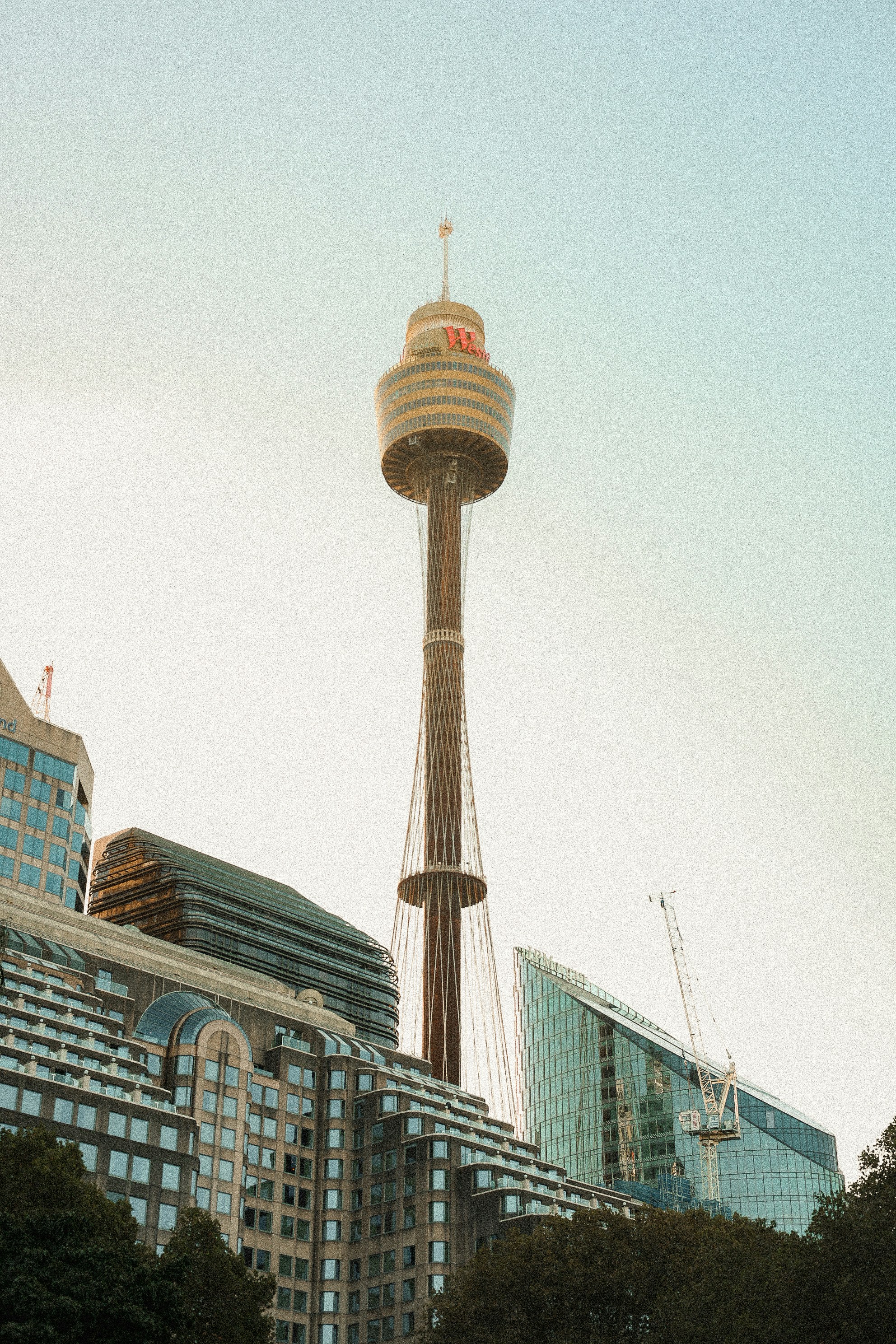 Sydney’s Skyward Needle: A Towering Icon Above City Glass
