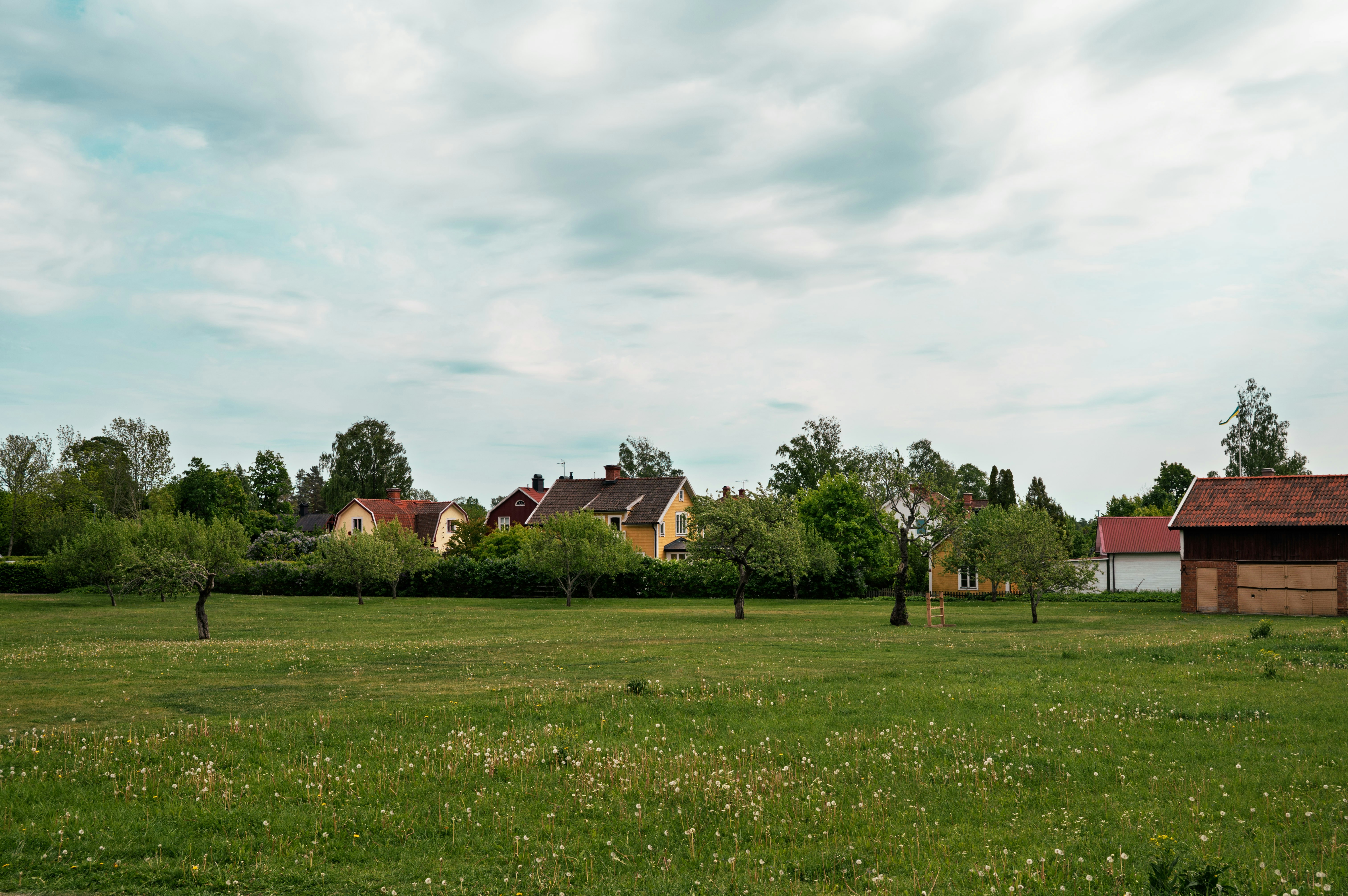 Calm Village Edge: Fields, Trees, and Quiet Homes Under a Soft Sky