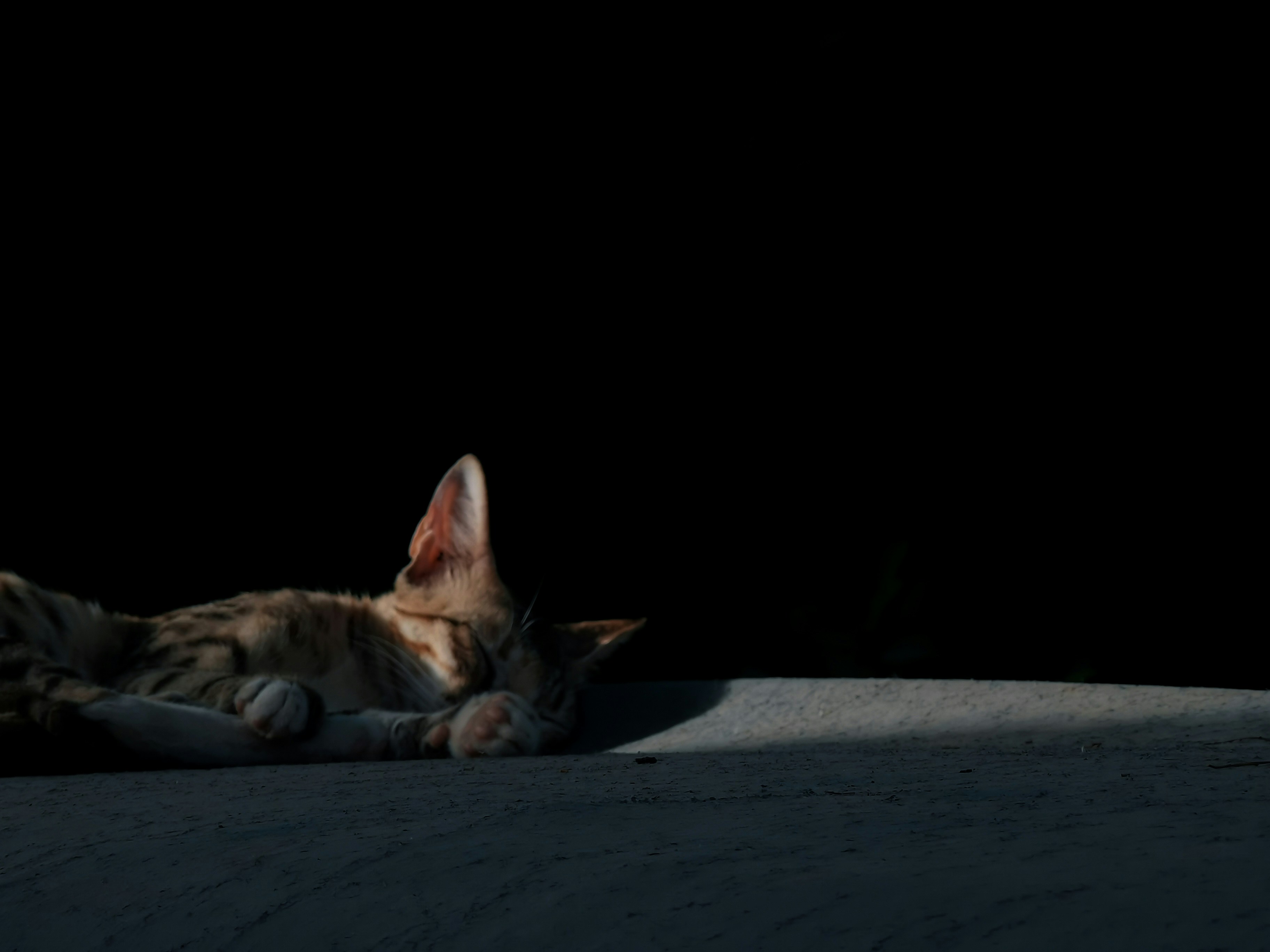 A small kitten lies on a shaded surface with a single beam of light highlighting its head and paw, creating a quiet, intimate moment. Photograph appears to be a simple scene capture.