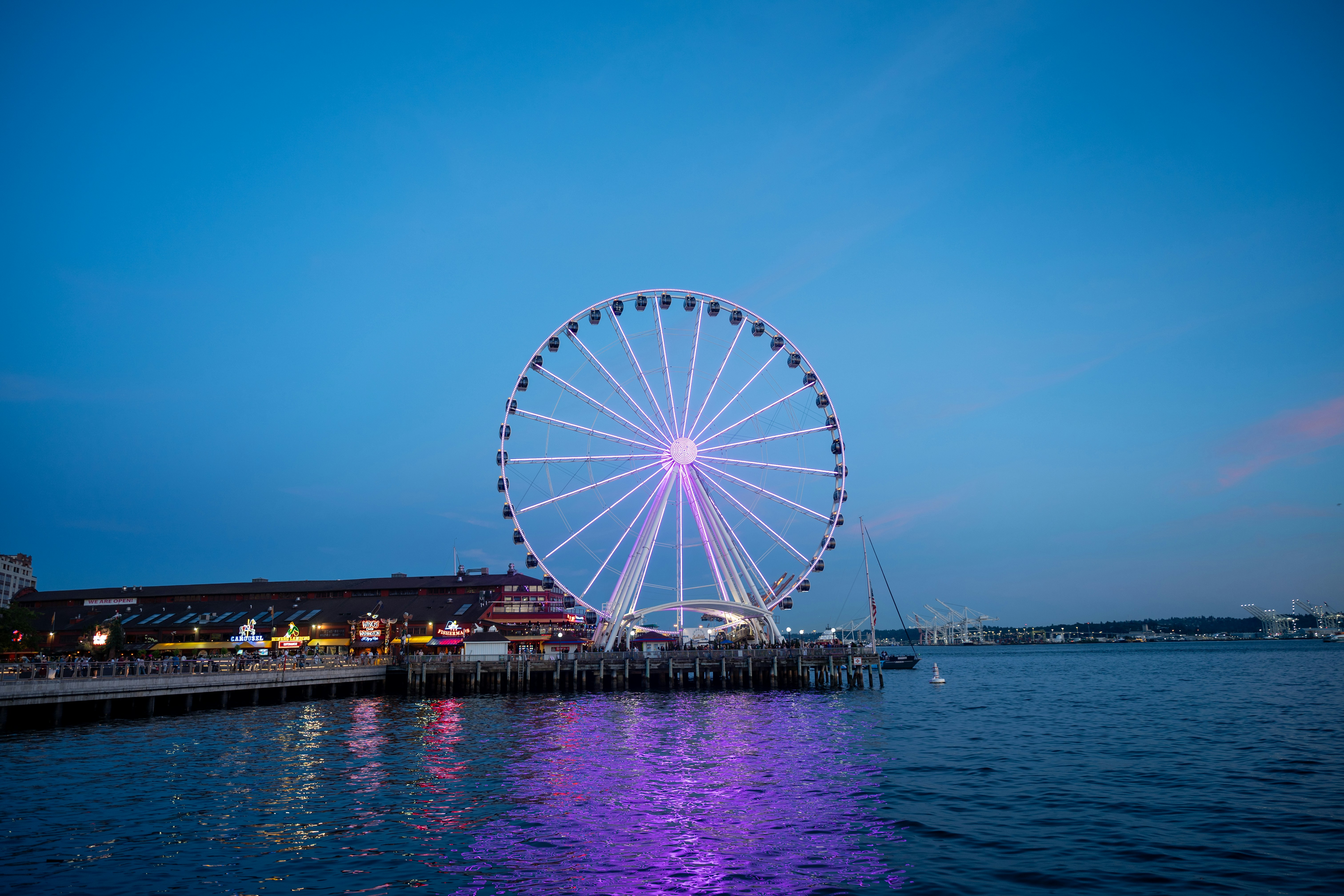  Neon-Washed Carousel: A Neon Wheel at the Waterfront Pier