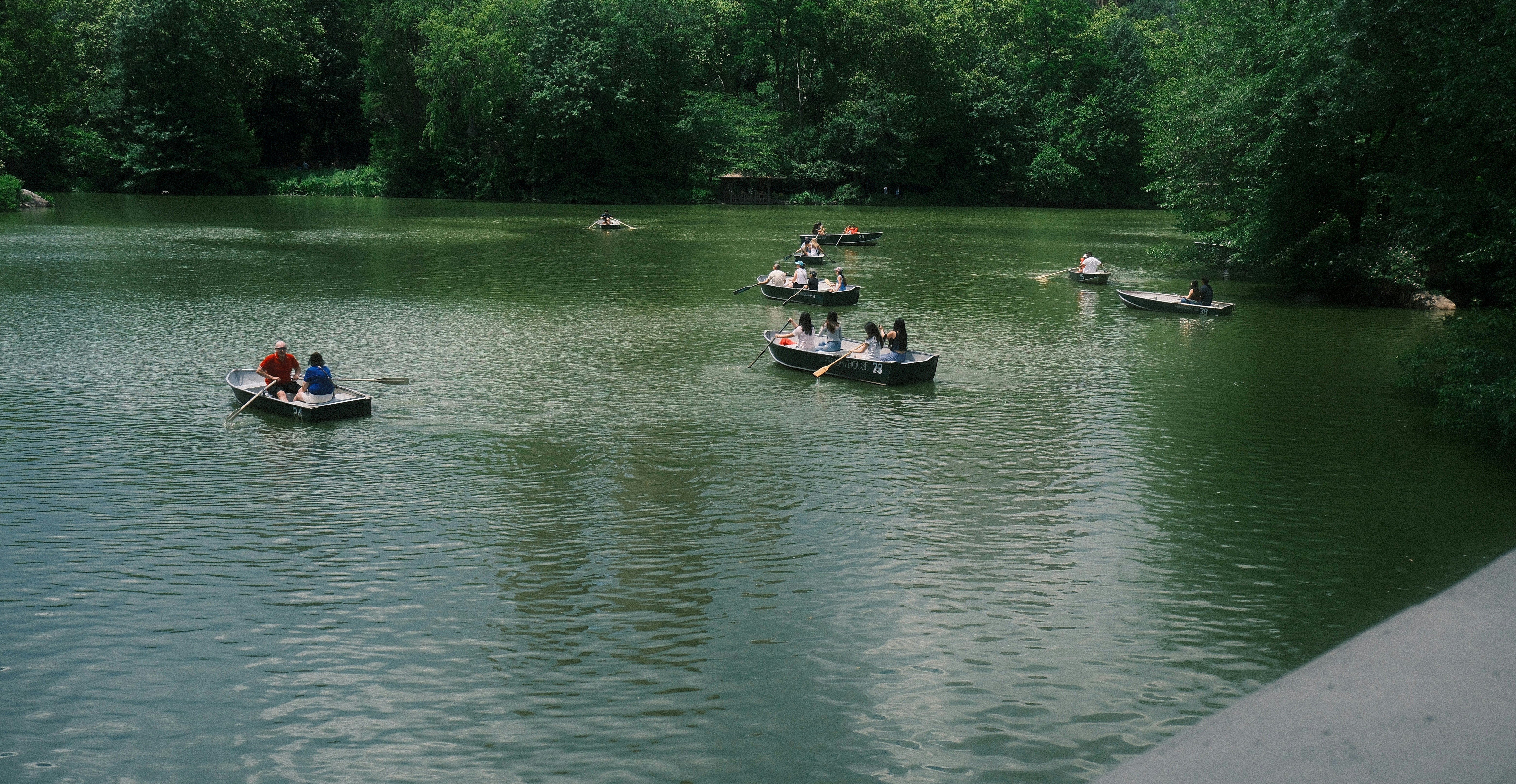 Floating Rowers on a Tranquil River Reservoir