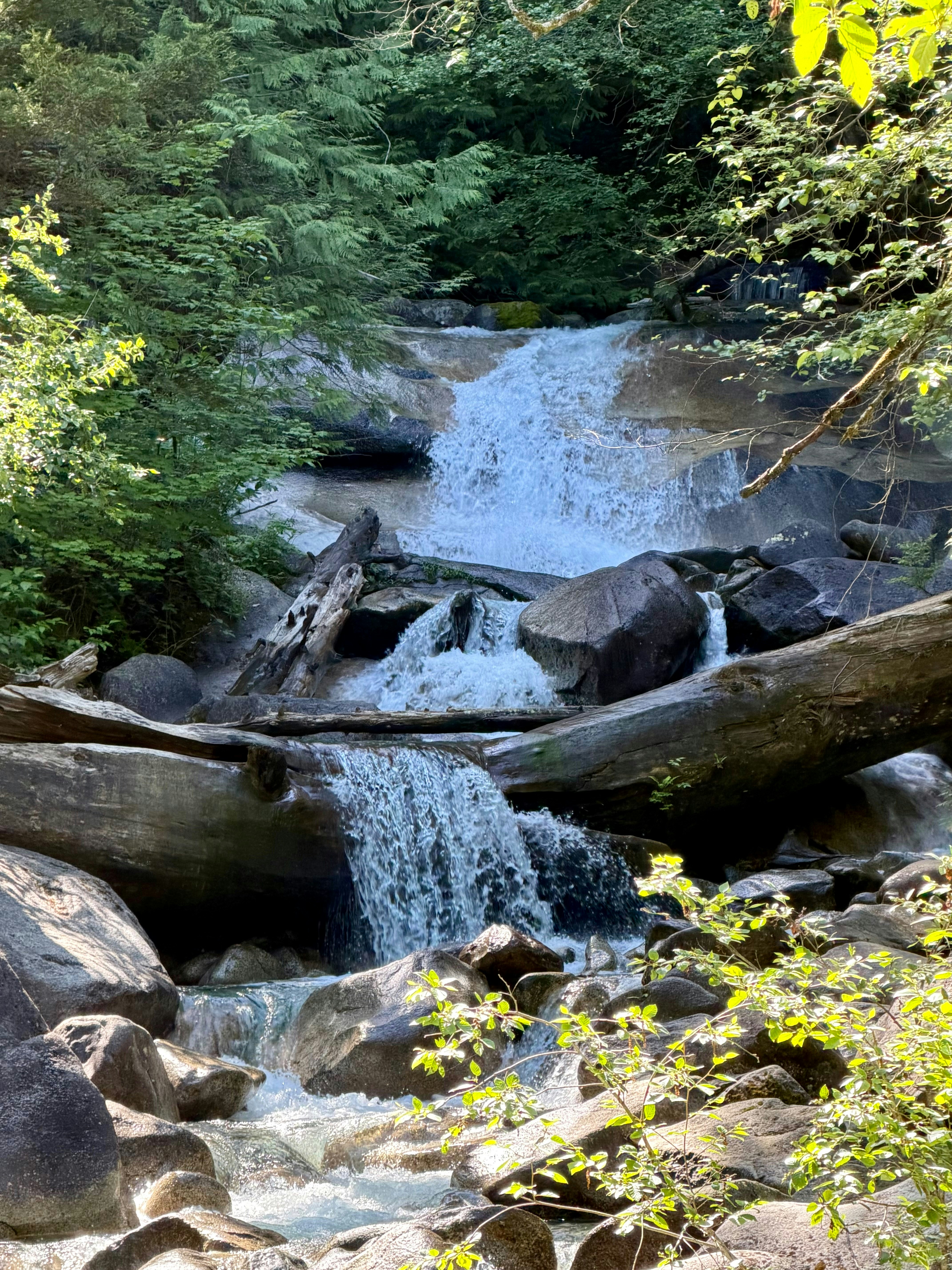 Dappled Cascade: Sunlit Stream Winding Through Granite and Pines