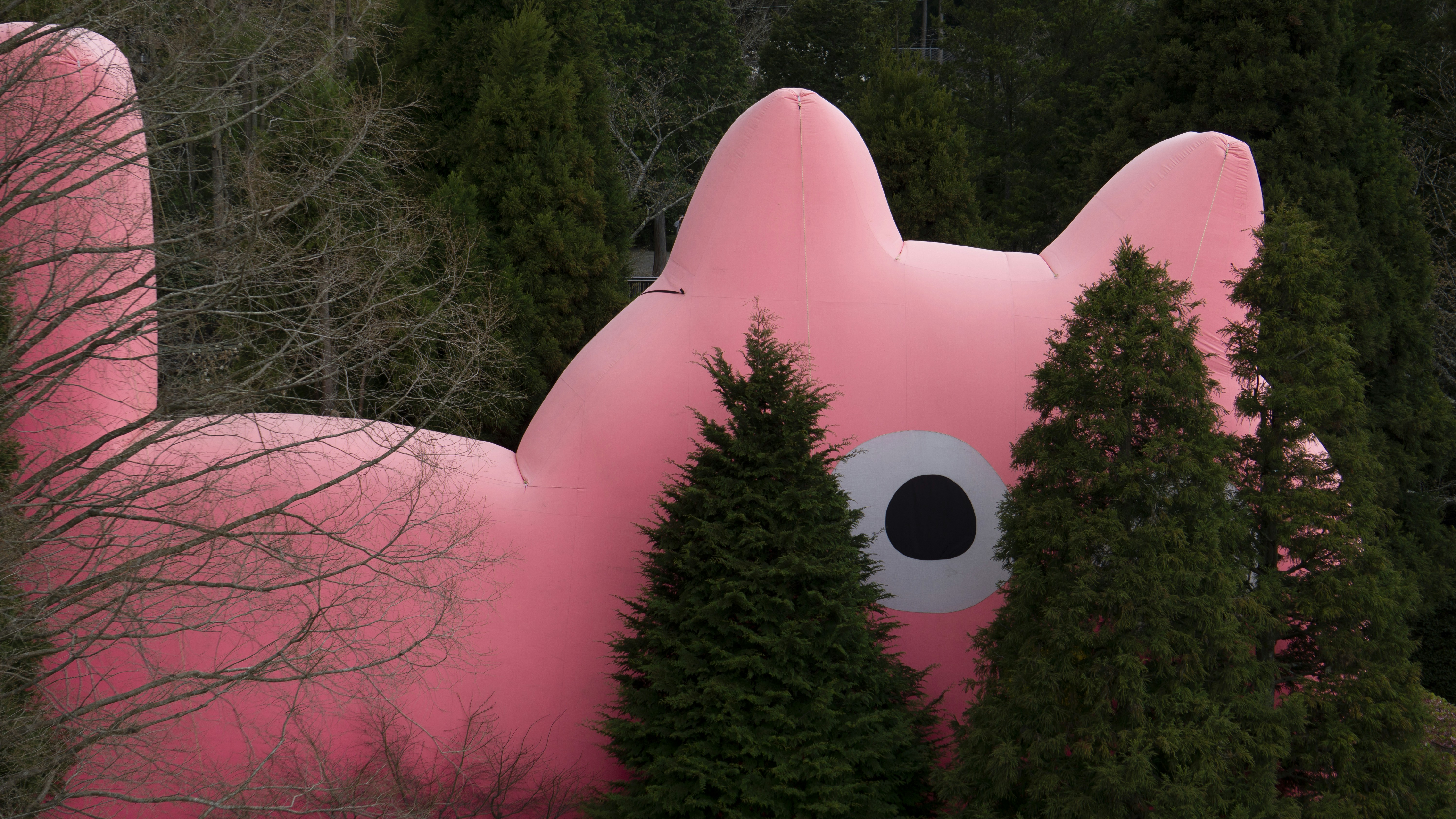 Pink Monstrosity in the Pines: A Gigantic inflatable character peeks through trees