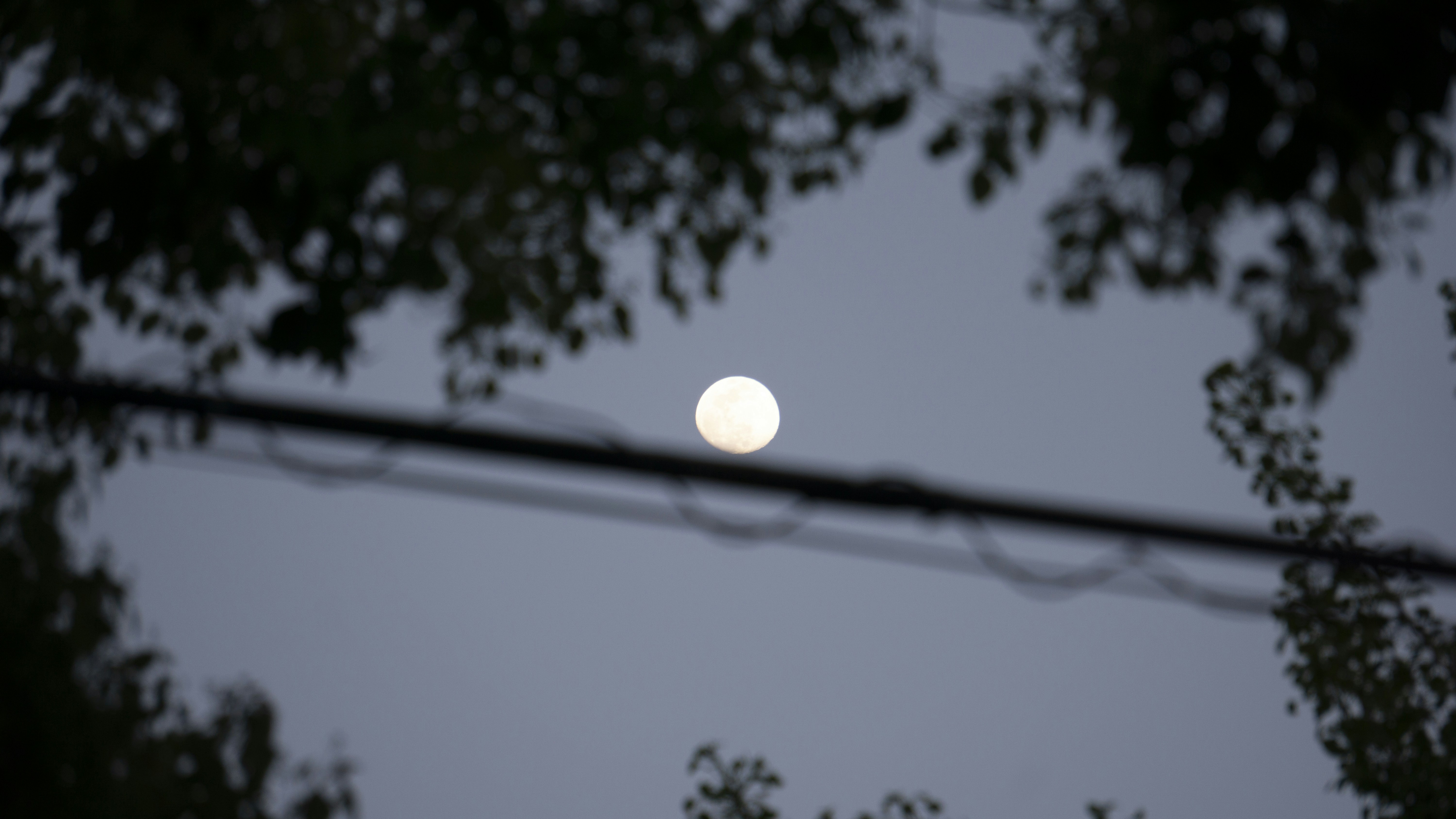 Moonrise over a Quiet Night Sky Framed by Branches
