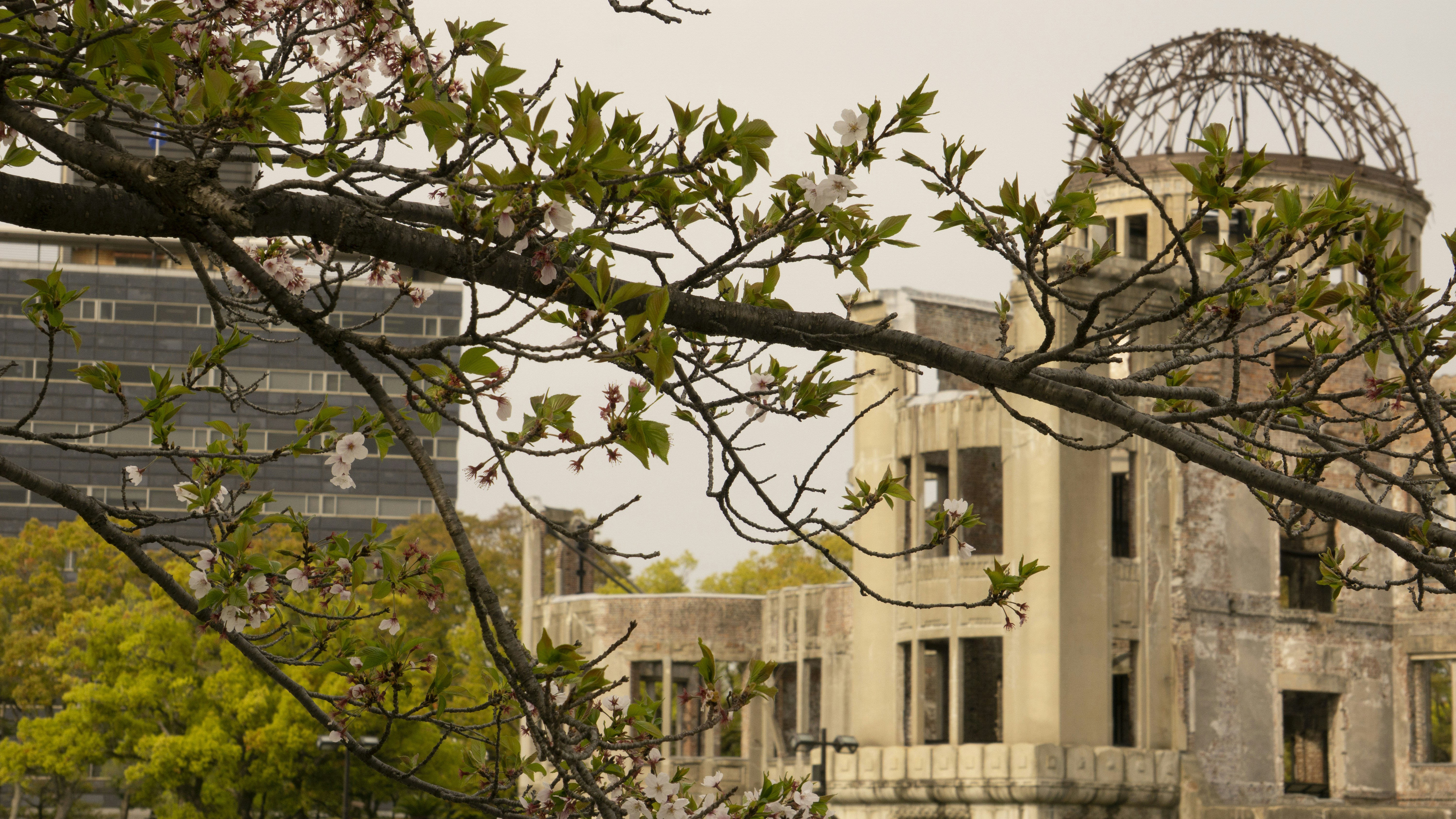 Ruins Beneath a Branching Sky: An Abandoned Dome and Cityscape