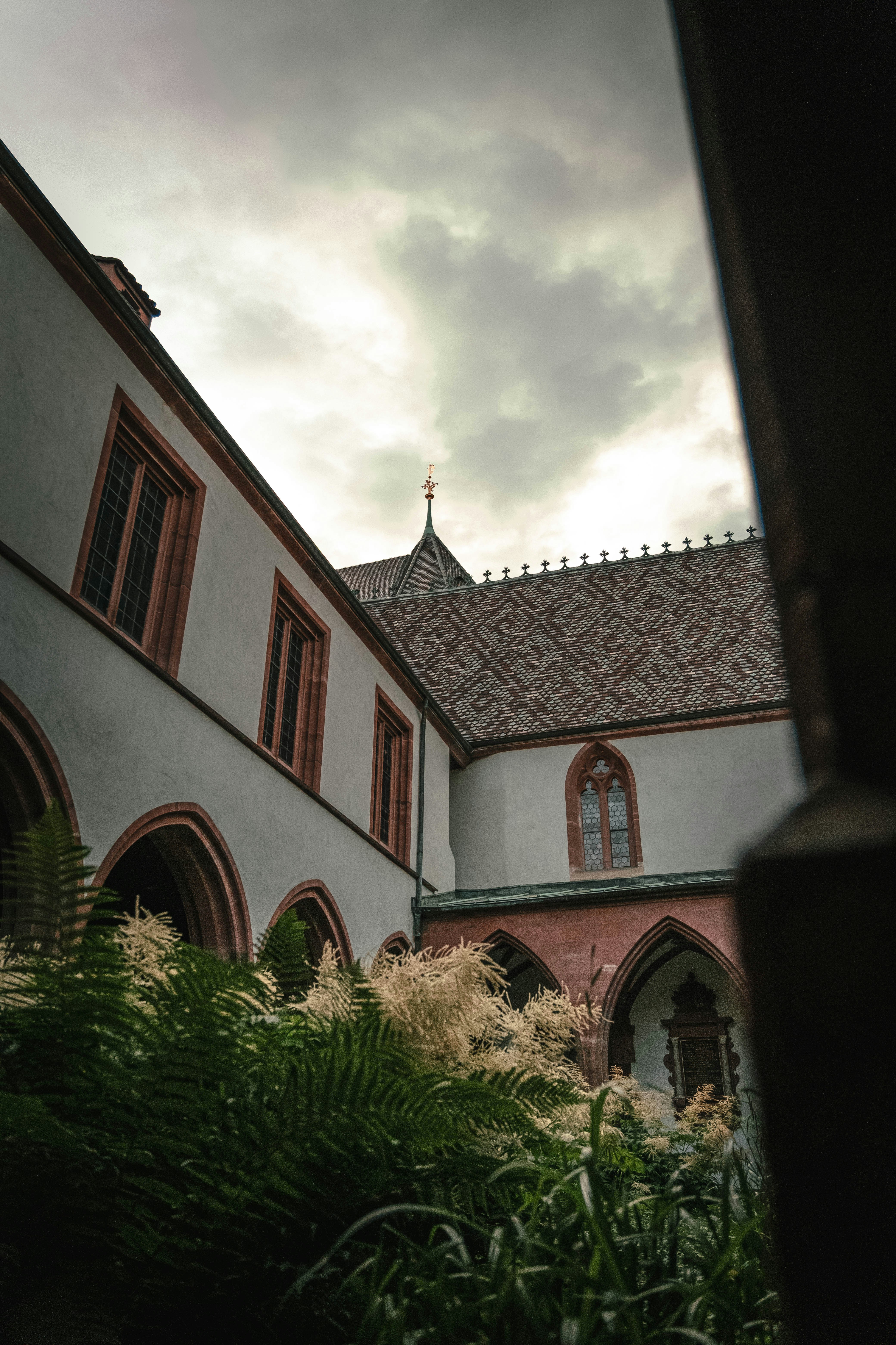 Architectural cloister with pointed arches and a tiled roof framed by lush ferns in the foreground.