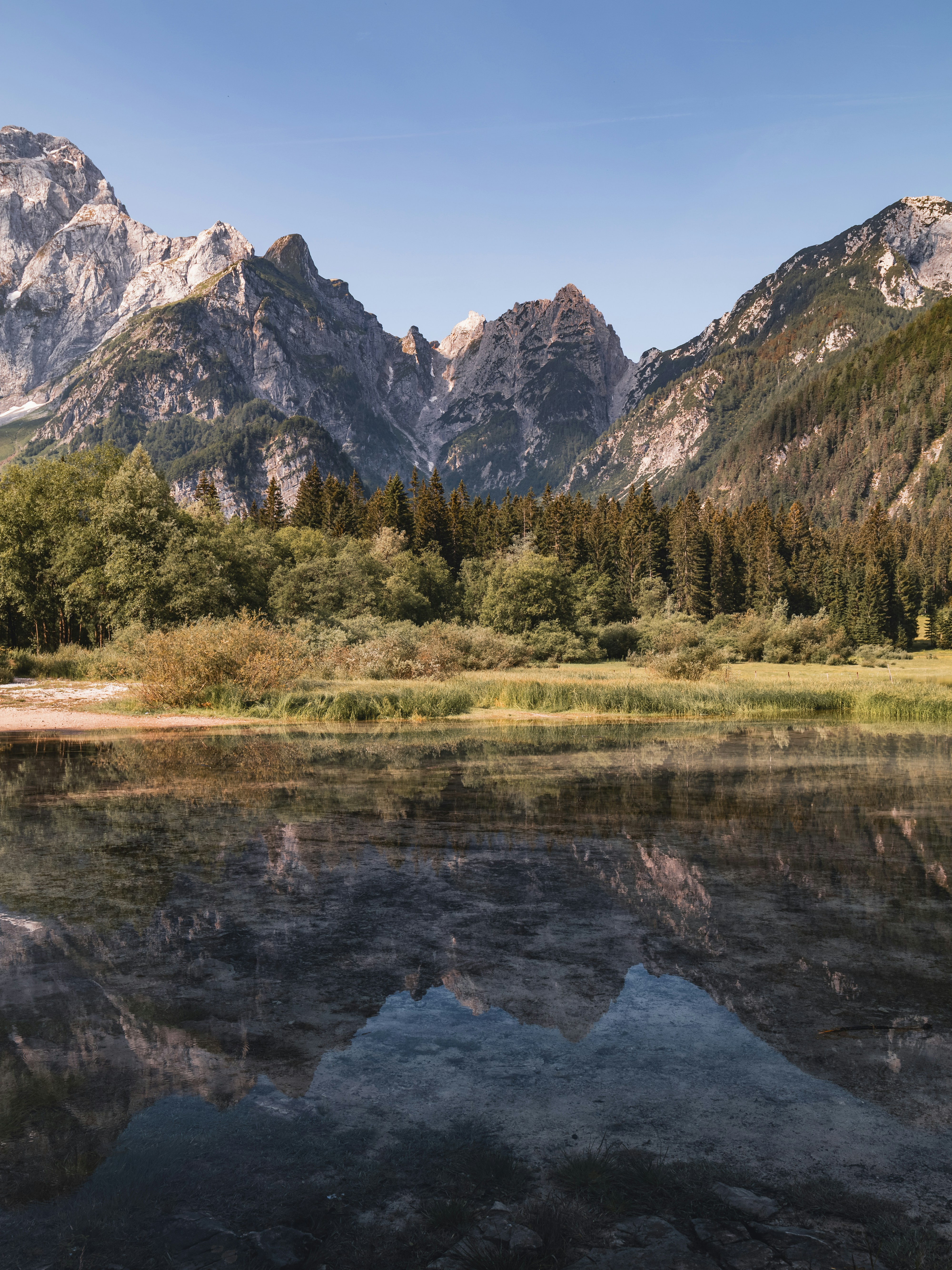 Echoes of the Treetop Valley Beneath Jagged Peaks