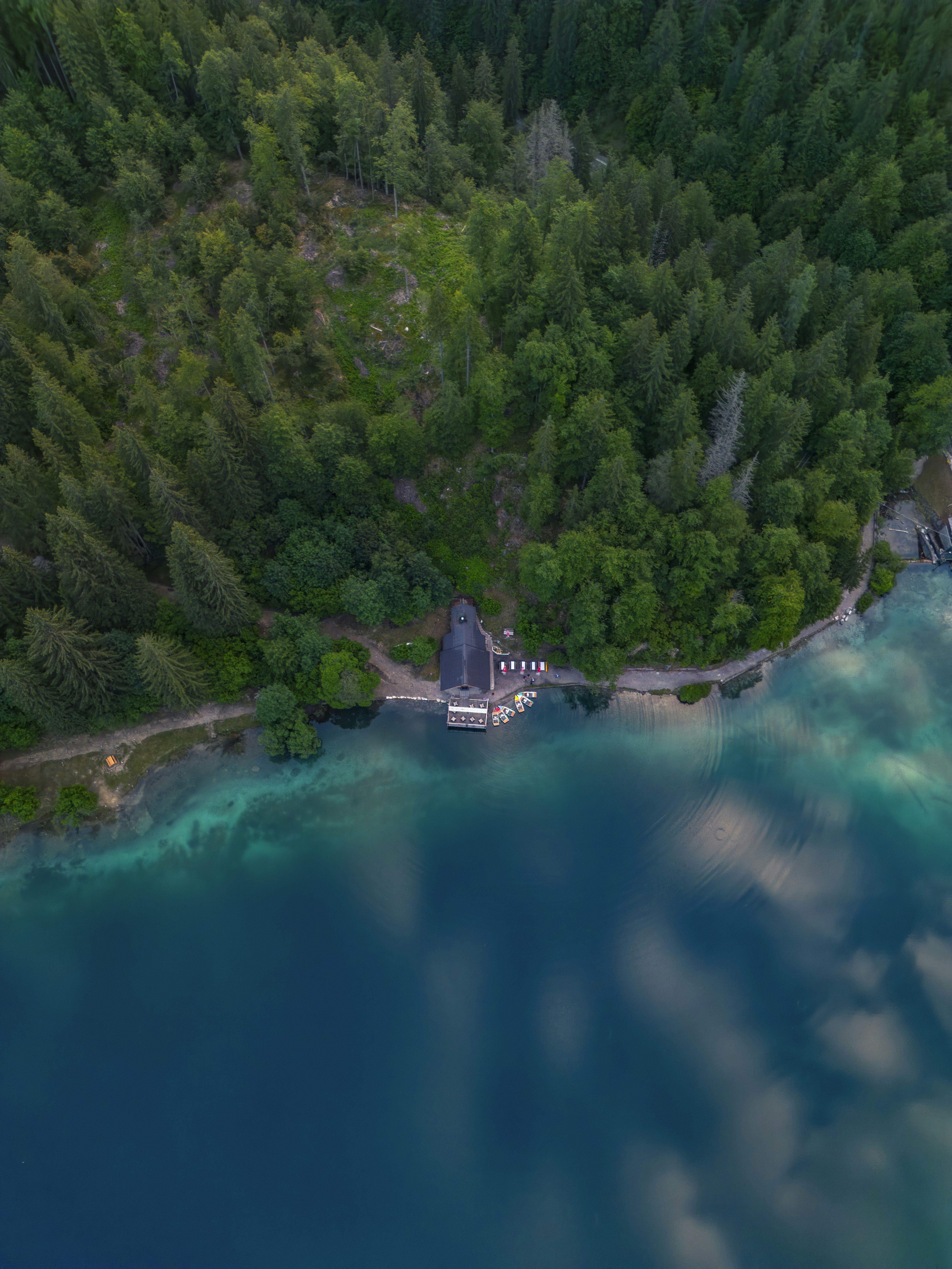 A Forested Cliffside Retreat Embraced by Turquoise Waters