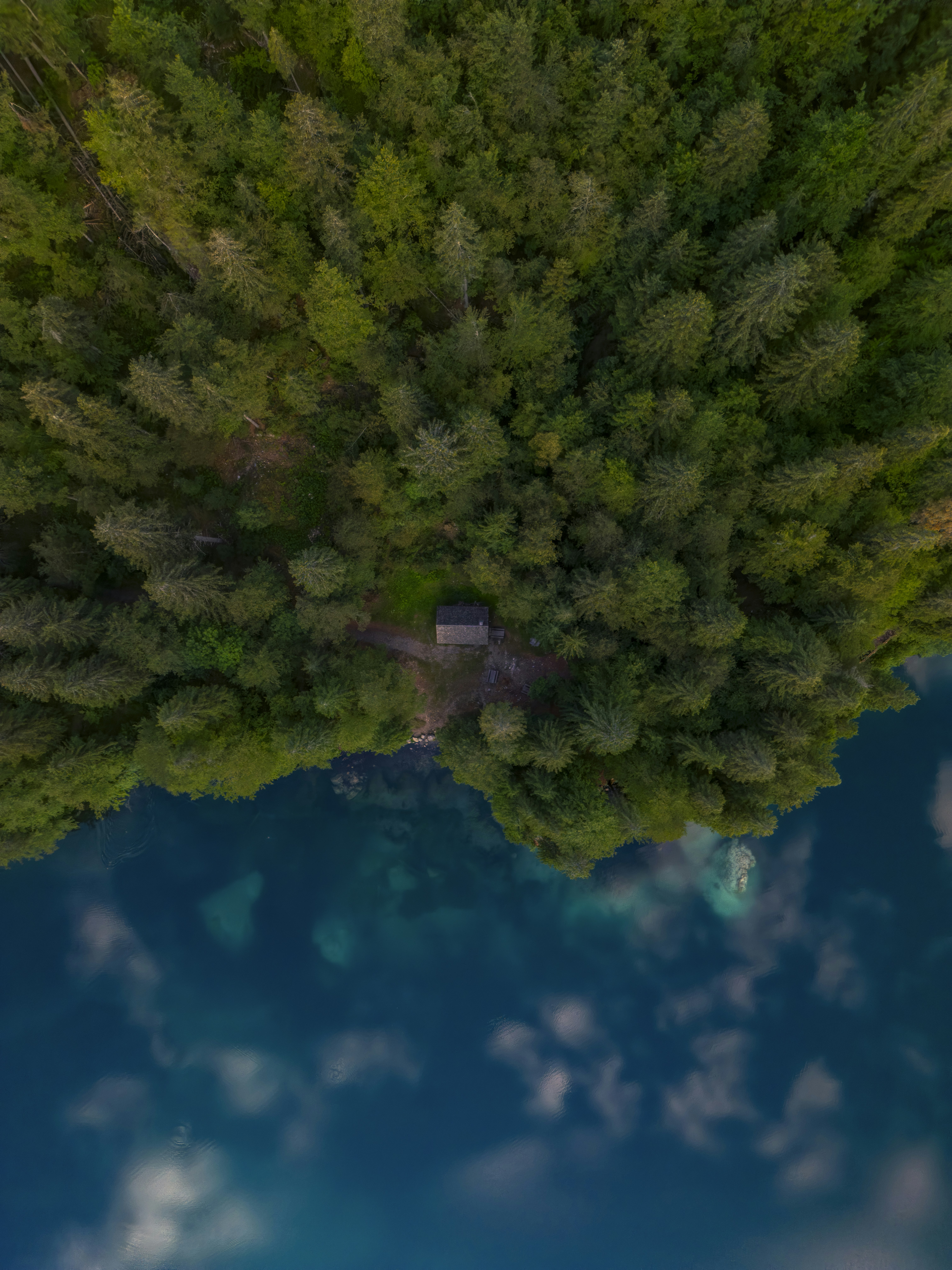 Forest Crest Over Lake: Aerial Solace at the Shore