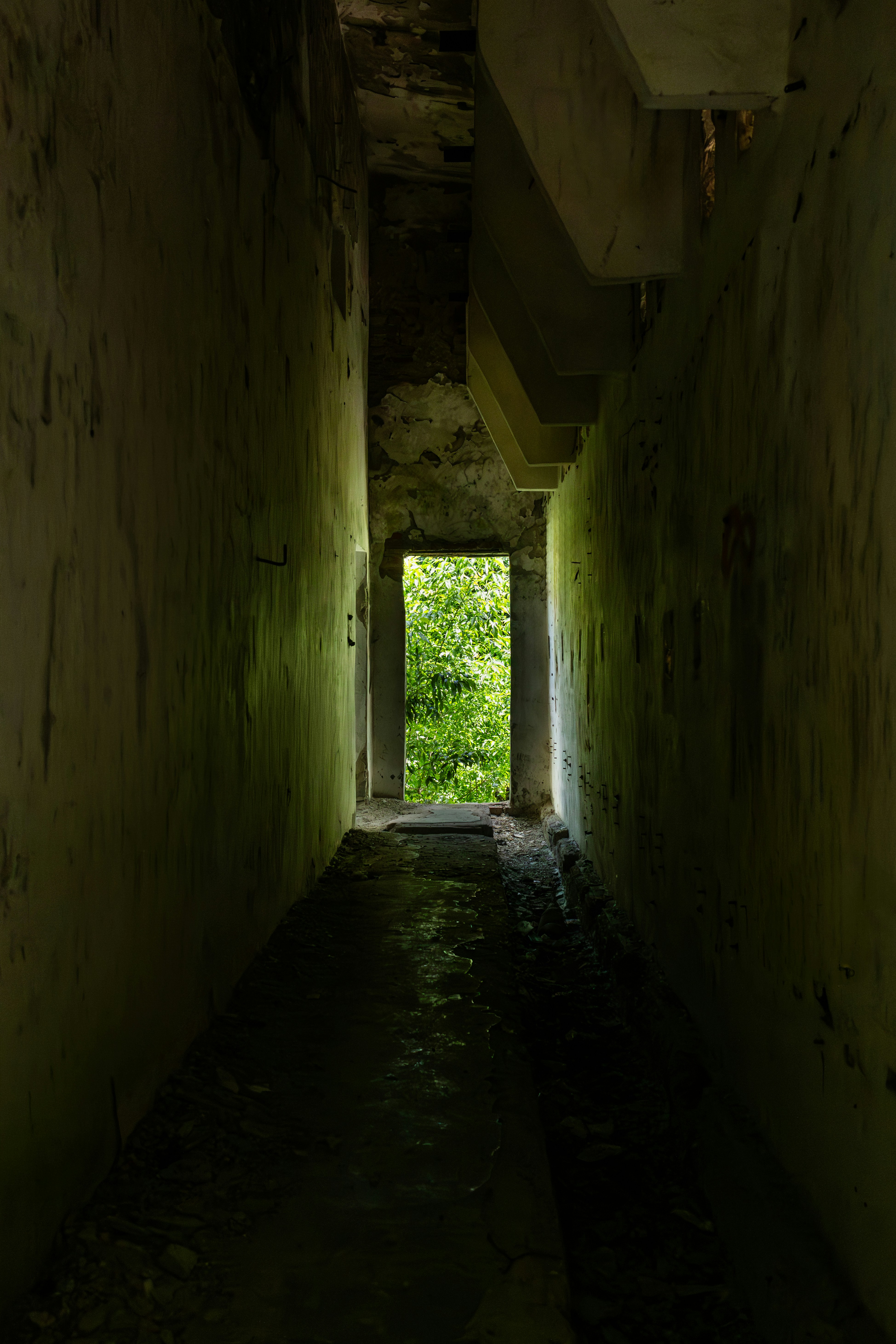 Emerald Exit: Light at the End of a Crumbling Hall
