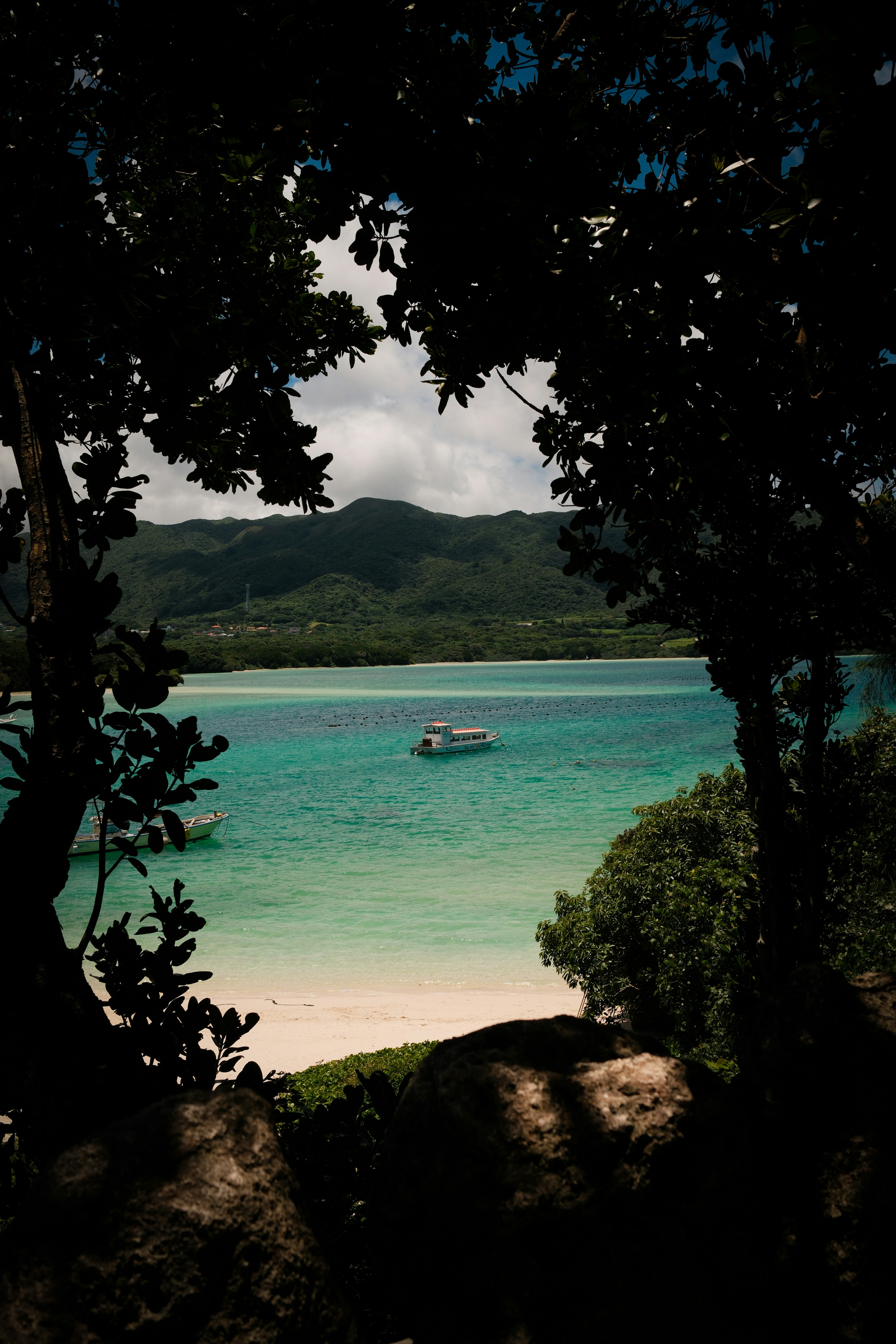 Emerald Cove: a Hidden Beach Framed by Shadowed Foliage