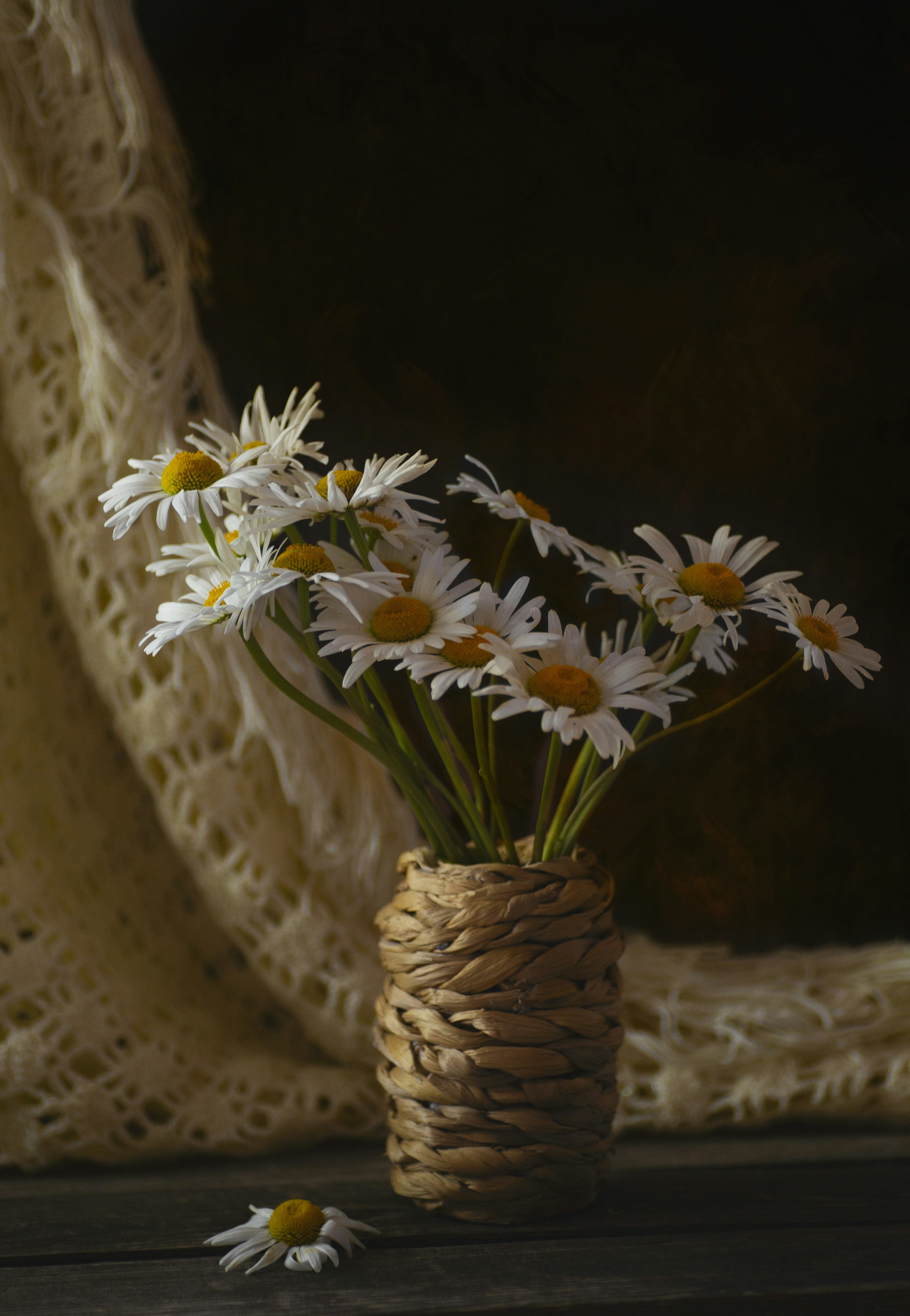 Daisy Bouquet in a Handwoven Vase Against a Velvet Dark Backdrop