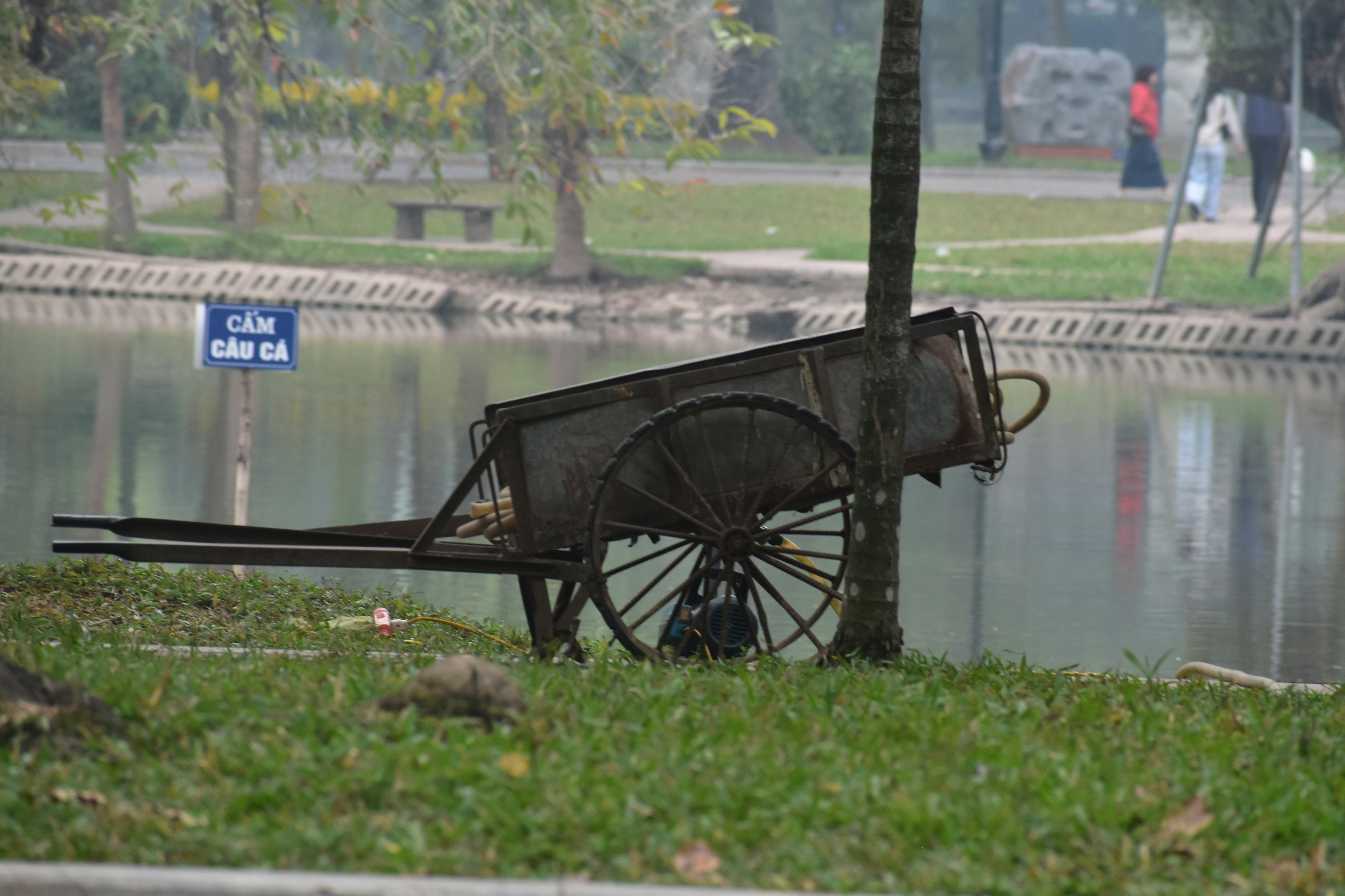 Rotting Wheelbarrow by the Quiet Pond