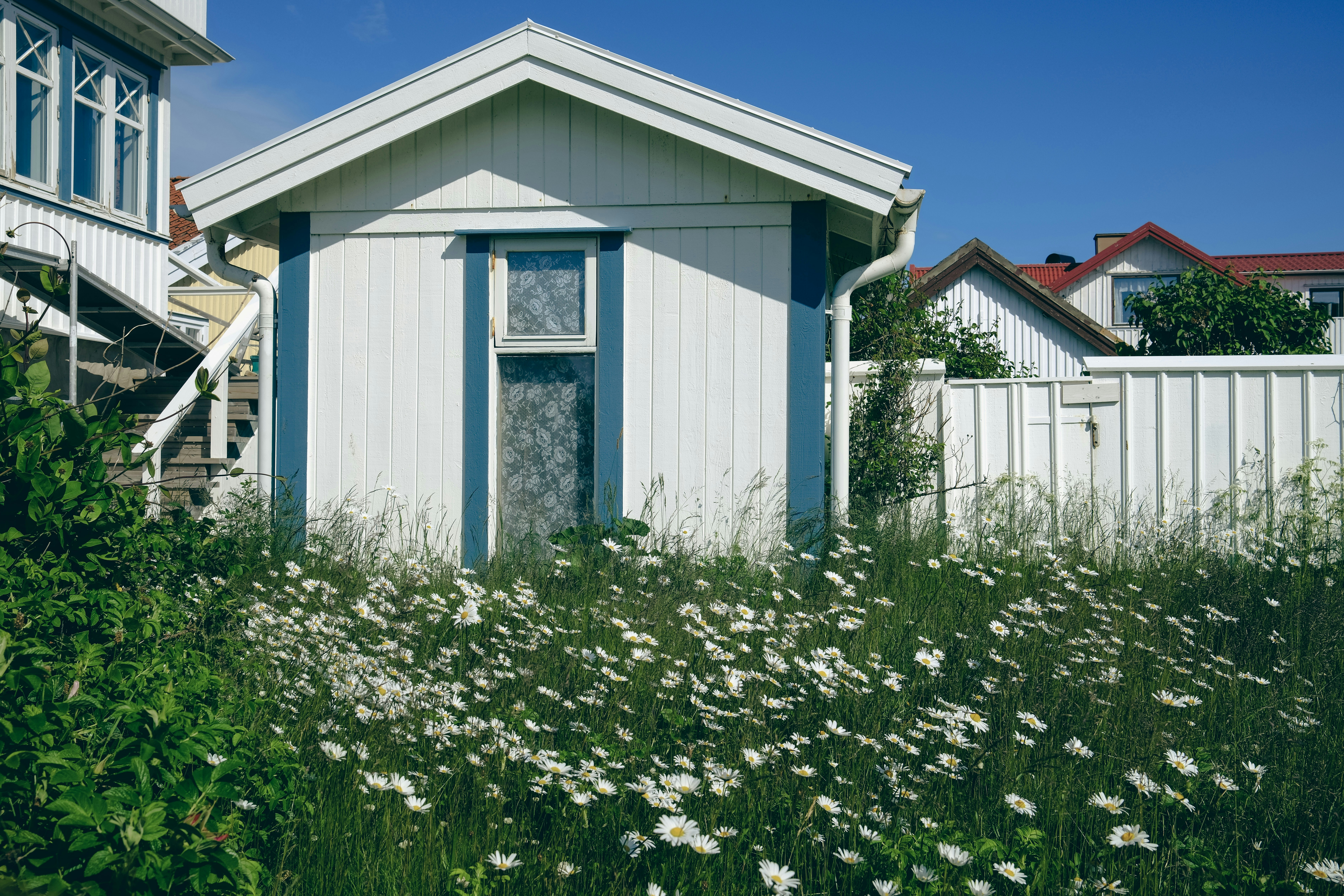 A small white cottage surrounded by wildflowers in the Gothenburg archipelago, capturing the quiet charm of a Scandinavian summer.