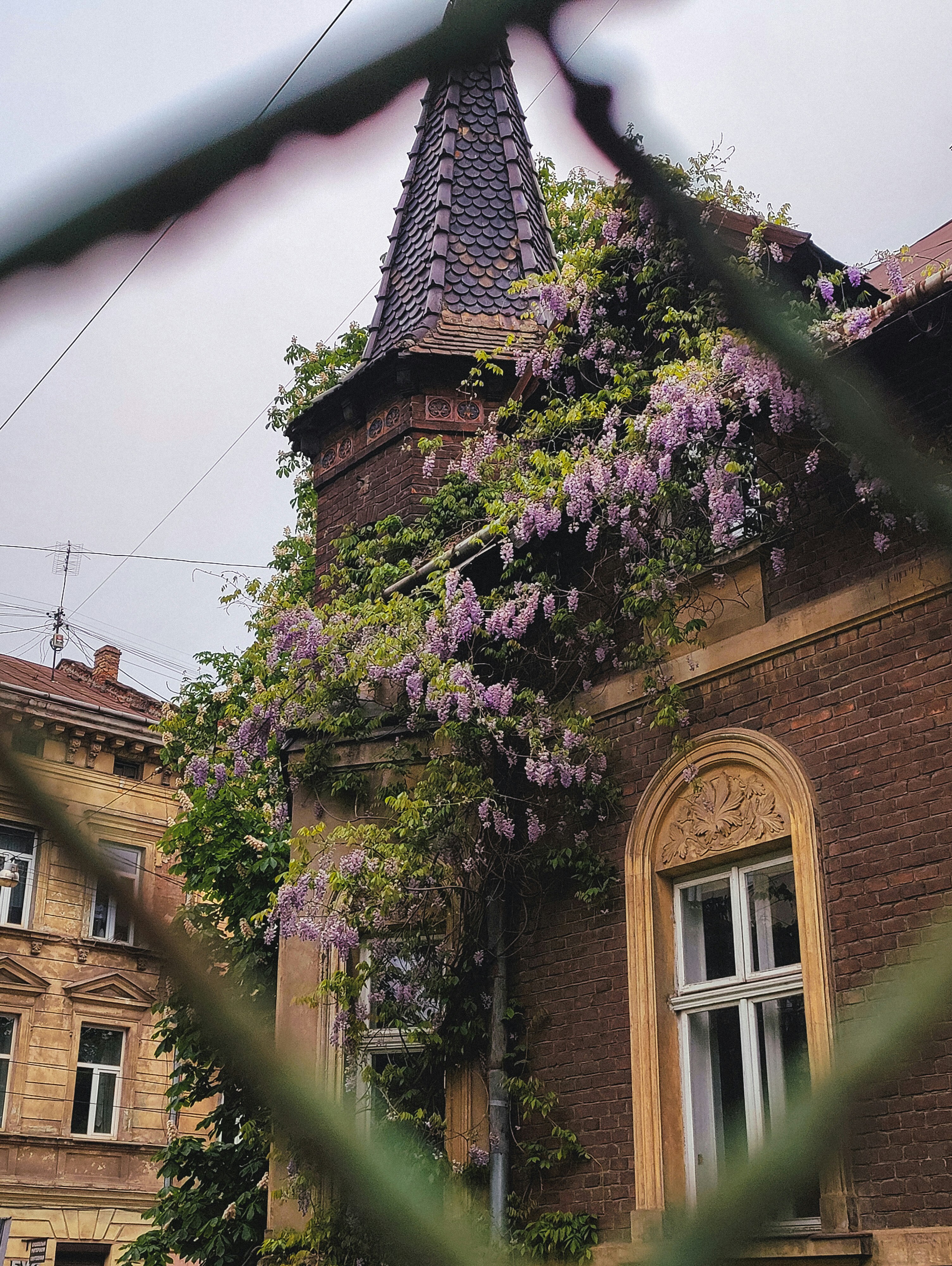 Vine-clad turret and brick façade peeking through a lattice