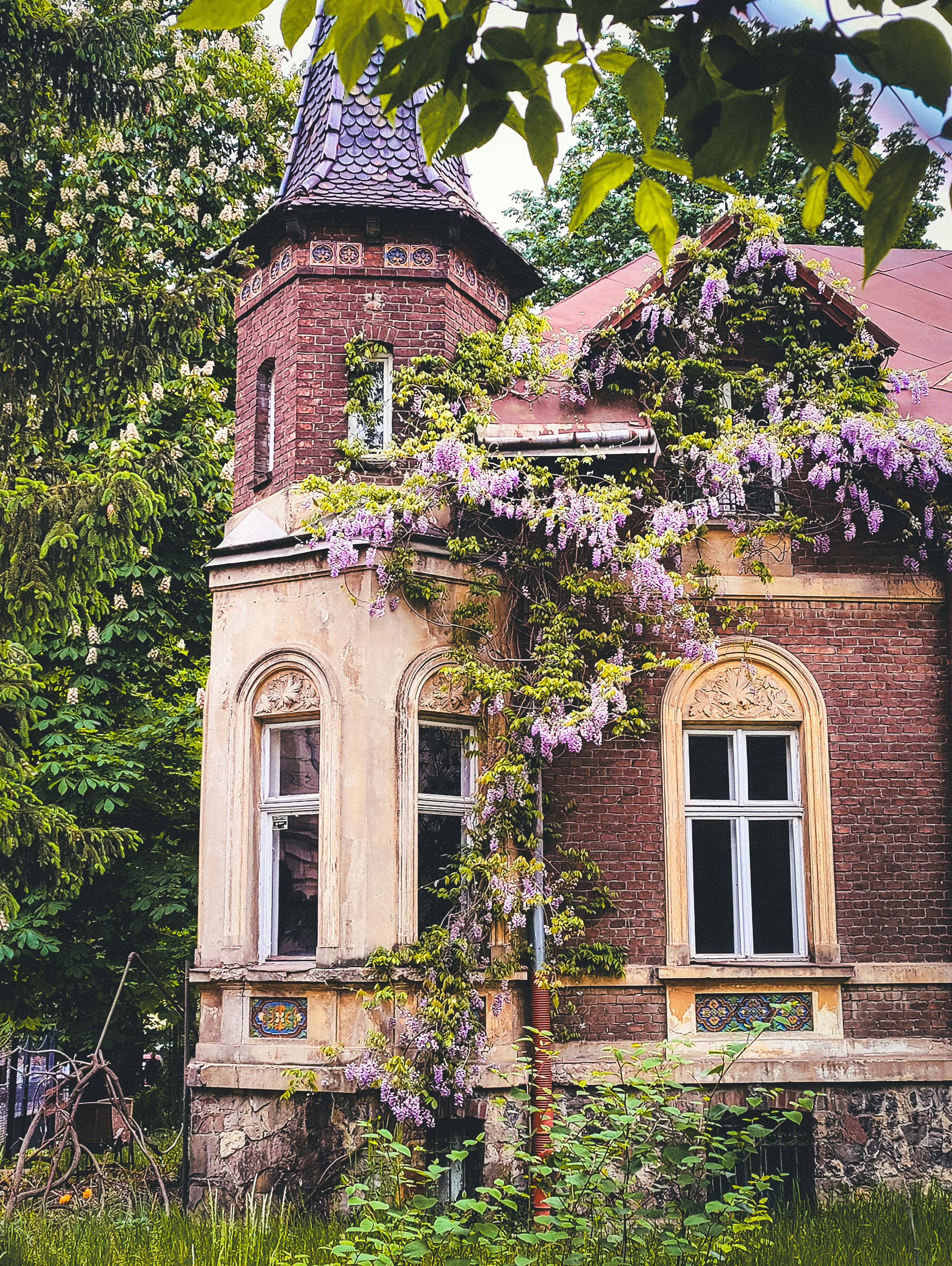 Vine-wrapped turreted cottage in bloom