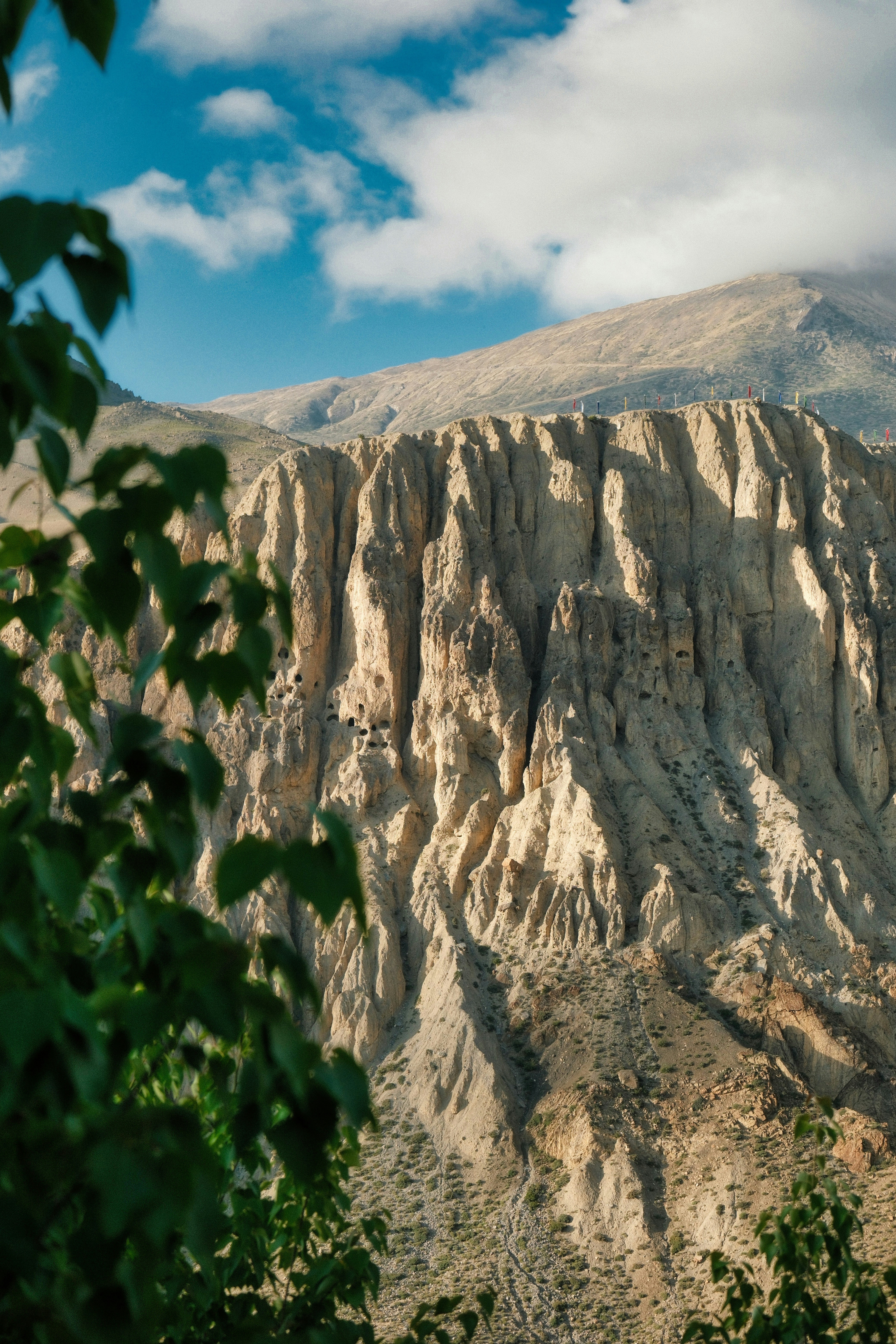 Desert Cliffs Carved by Time, Framed by Green Veil