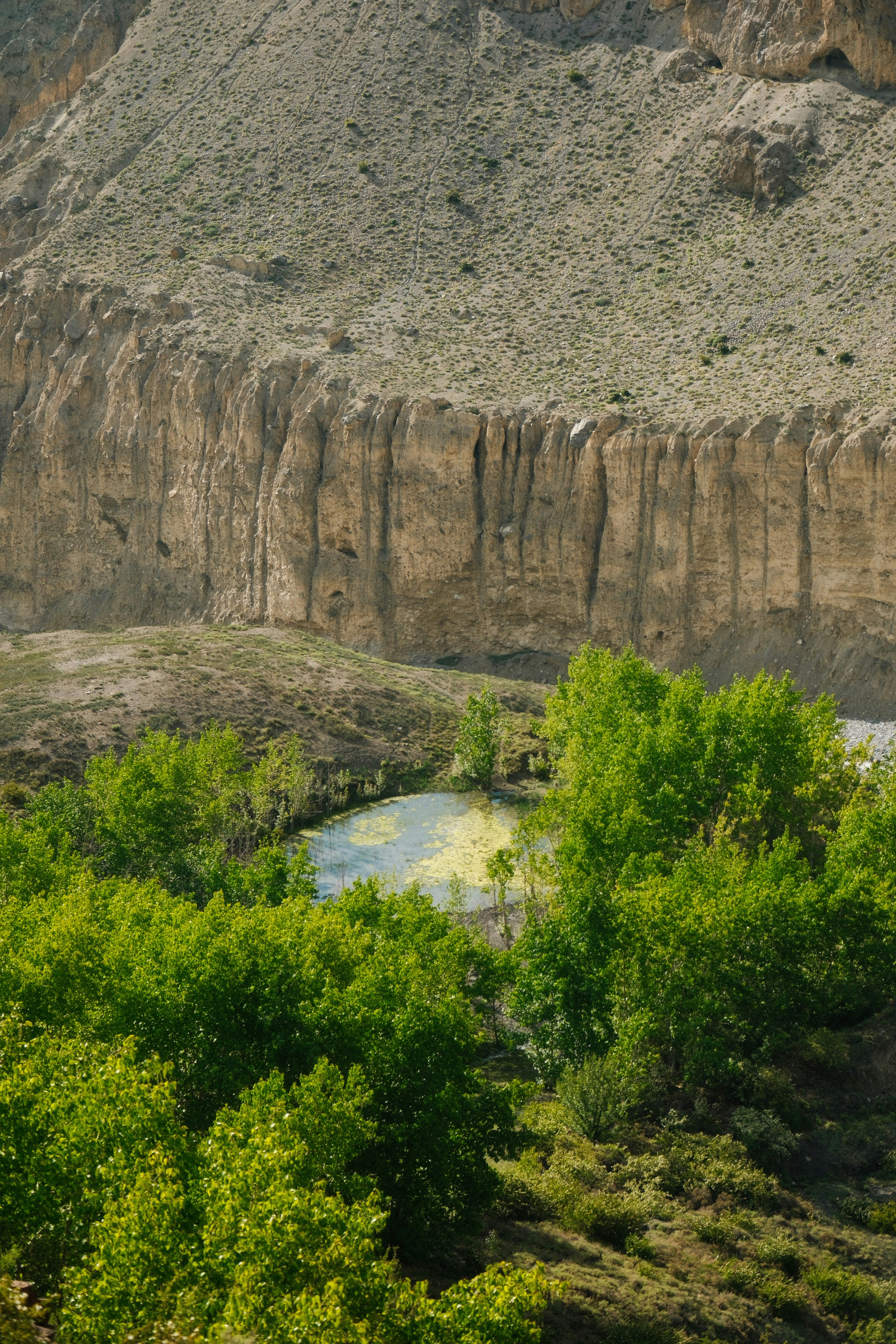 Lush green trees surround a pond beneath a rocky cliff.