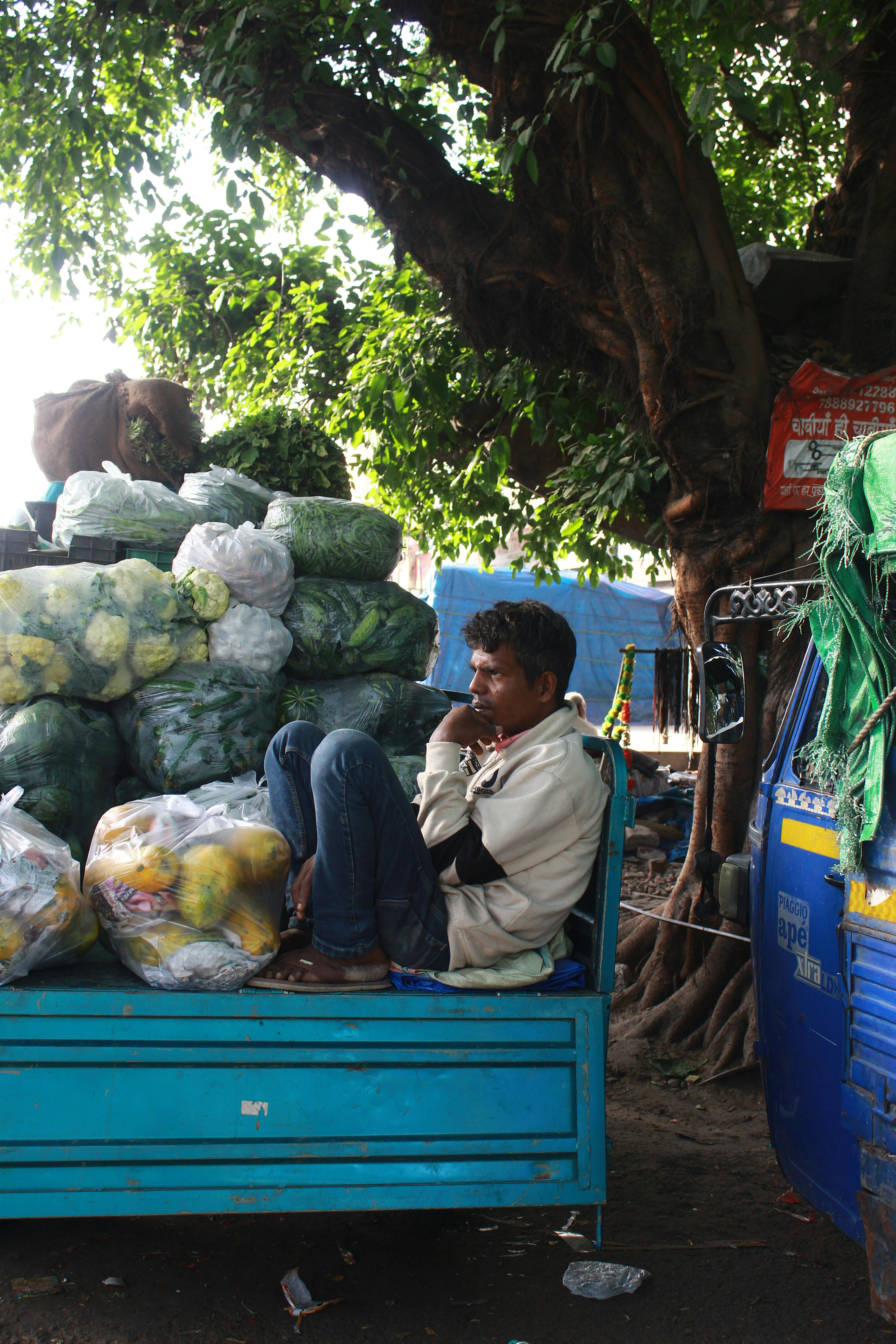 Sleeved in Shade: A Vendor Resting amid Cartons of Greens