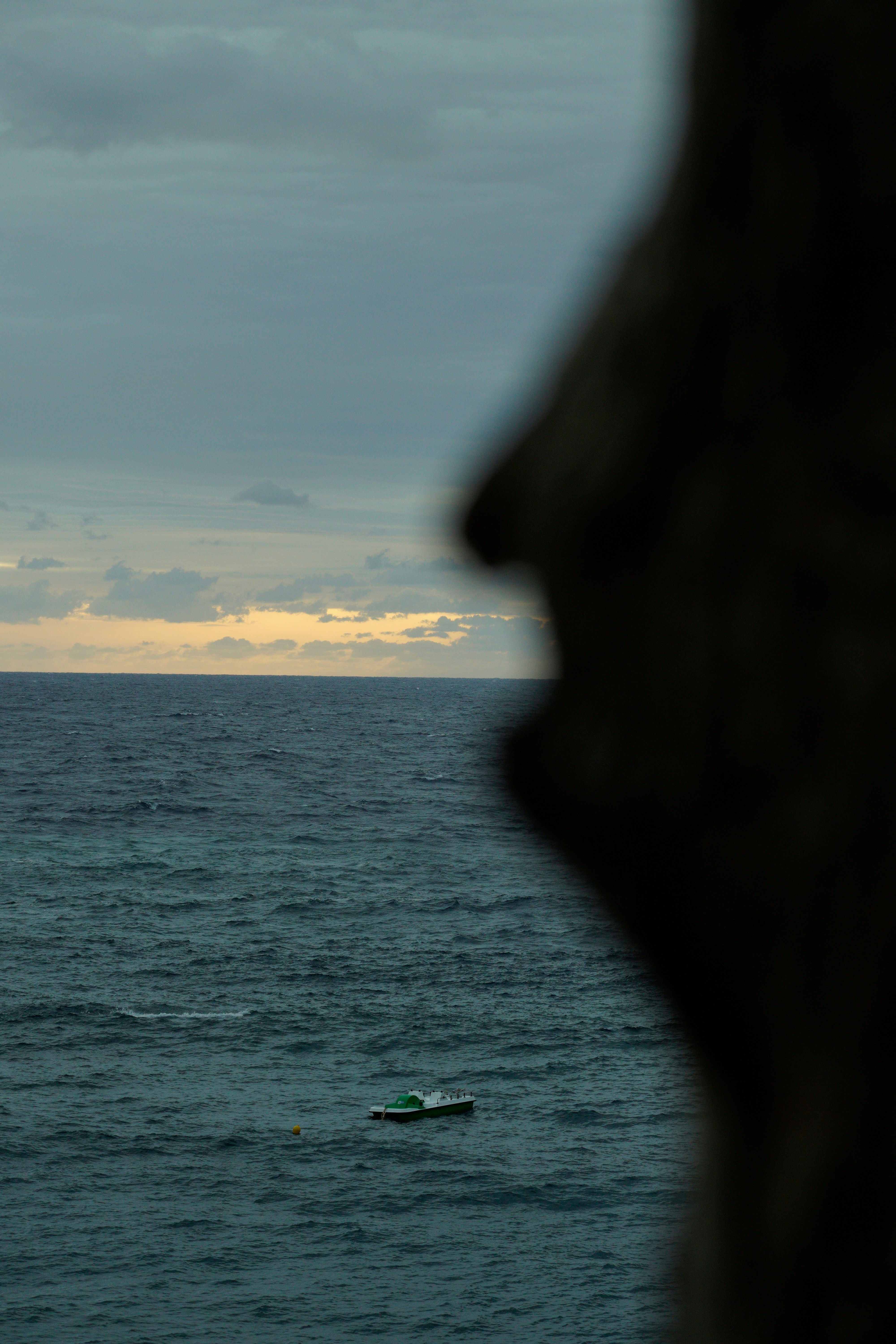 Shadowed Face Over the Ocean: A Profile in Silence
