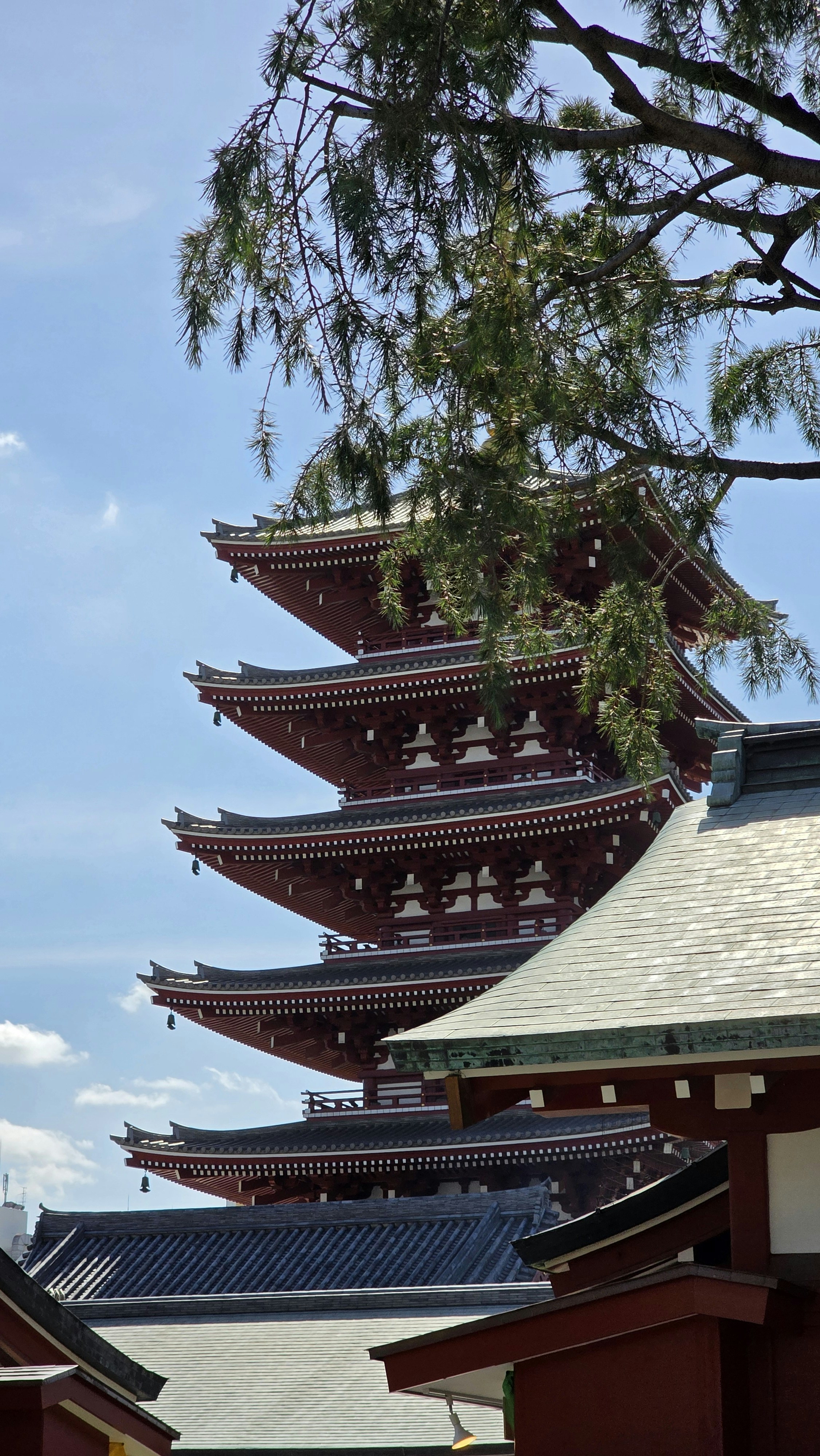 Five-Tiered Pagoda Rises Beneath Hanging Greenery
