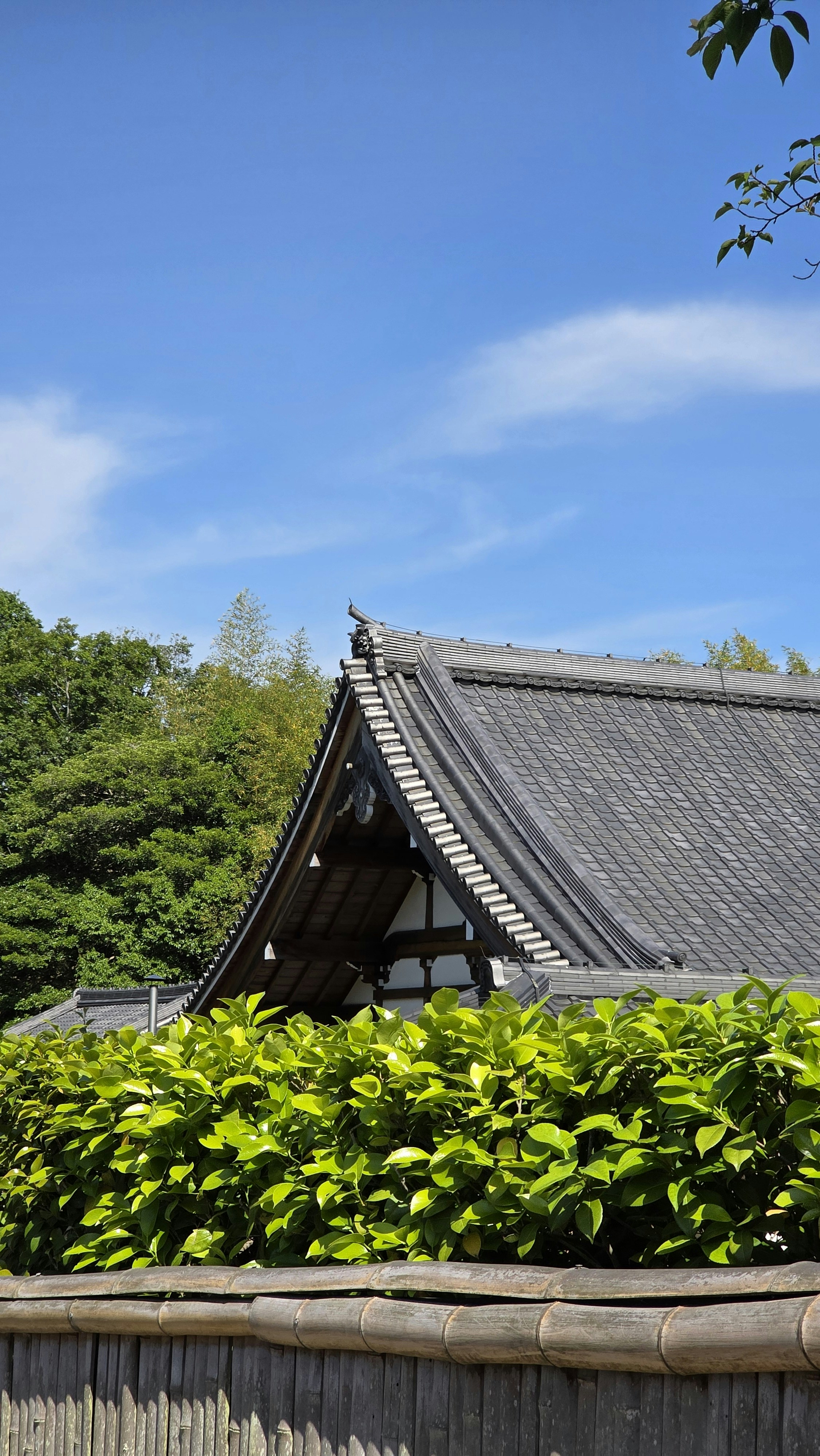 Zen Rooflines: Traditional Japanese Architecture Behind a Lush Hedge