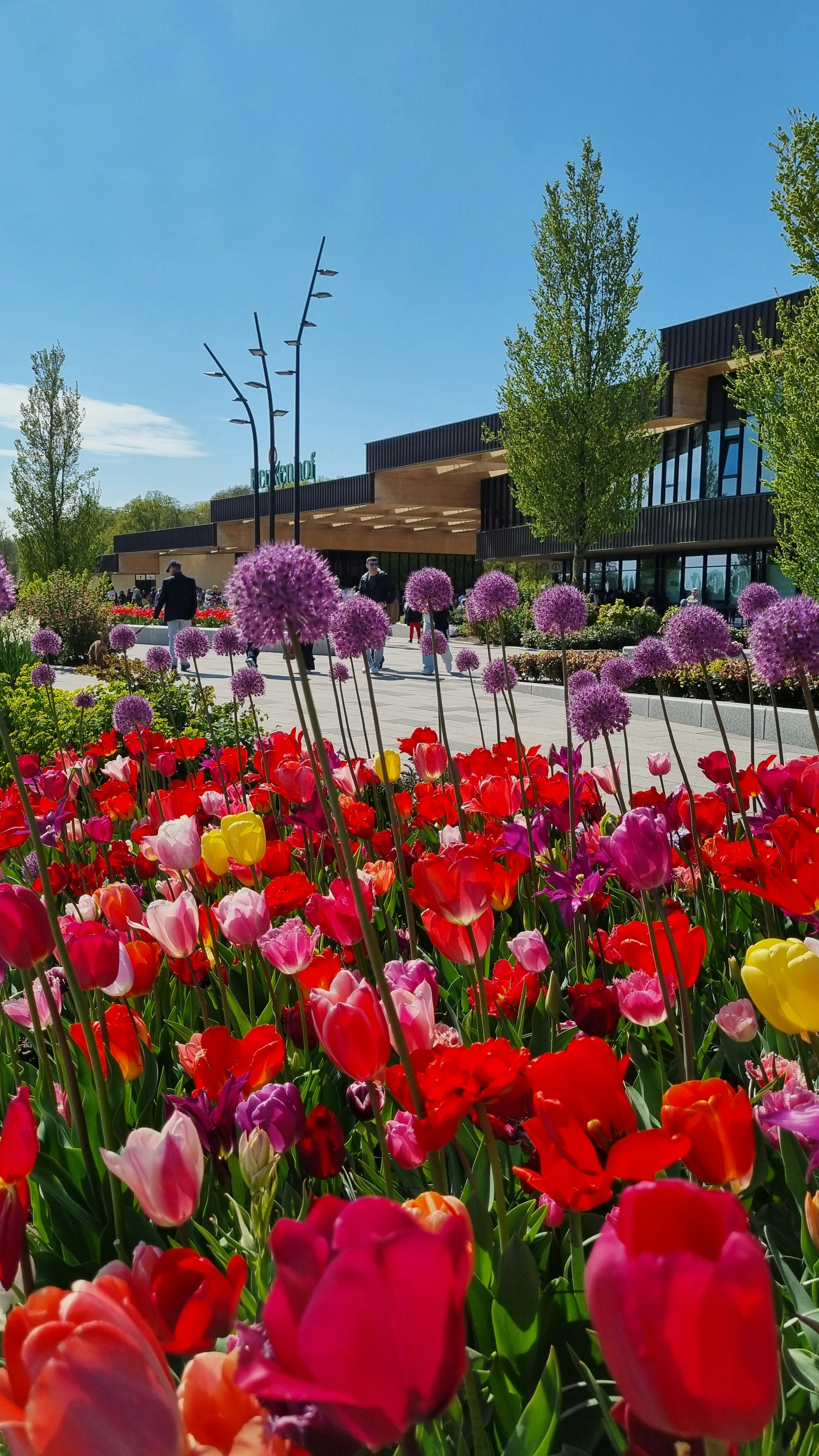 Spring Awakening at the Modern Atrium