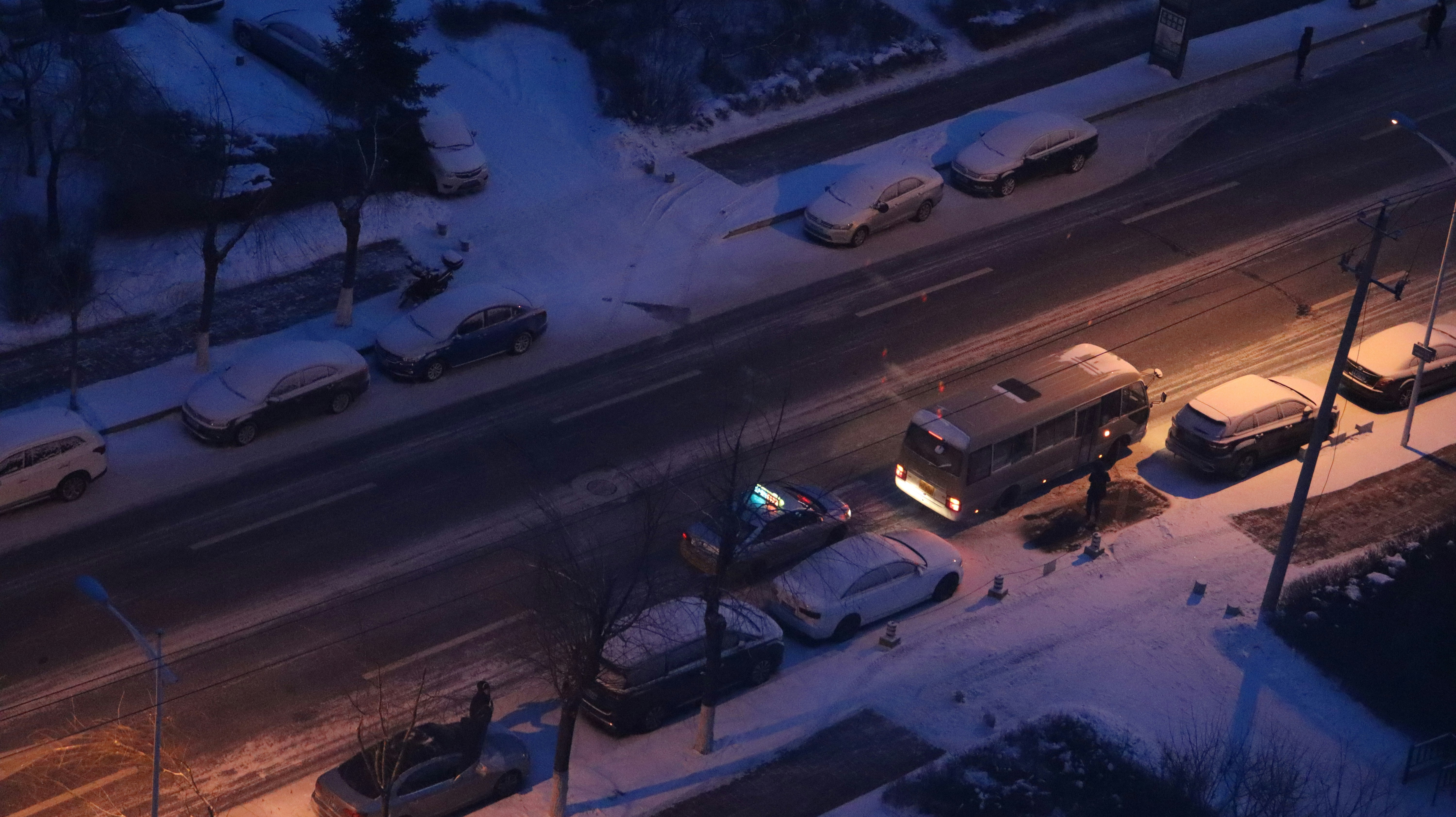 Winter Street Mosaic: A Quiet Line of Snow-Cooled Cars