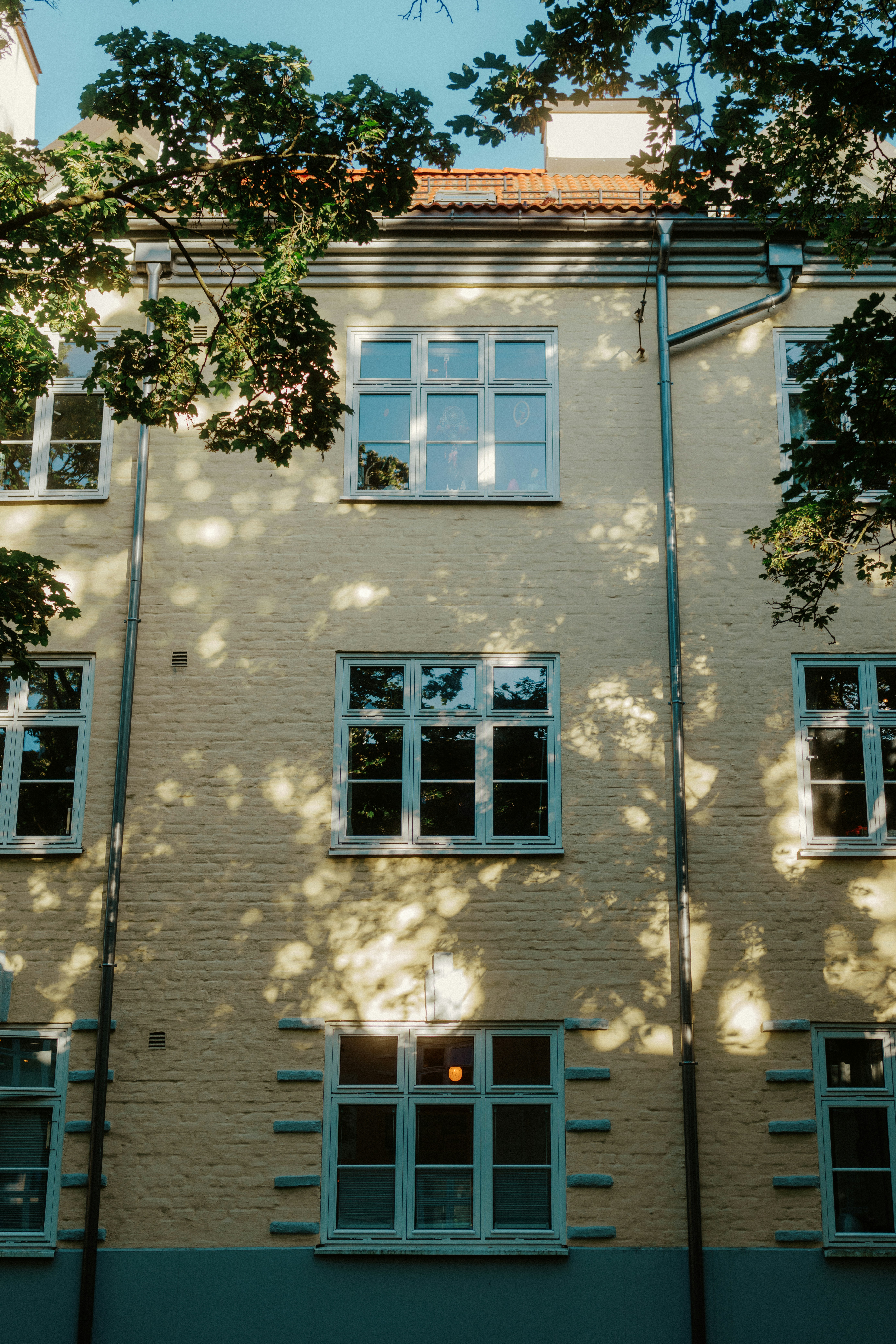 Sunlit Brick Facade with Dappled Tree Shadows