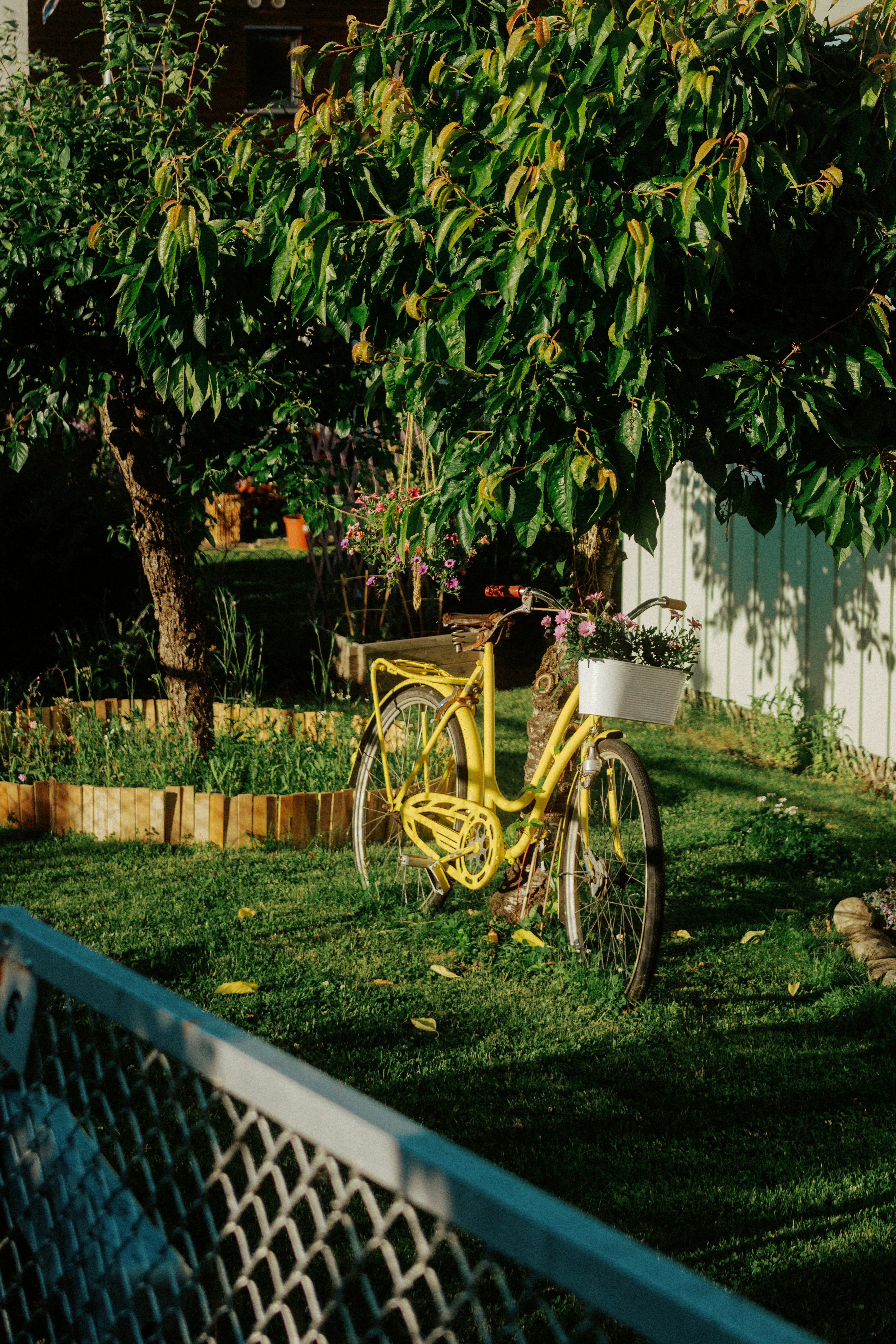 Sunny Yellow Bicycle in a Garden: A Quiet Corner with Flower Basket